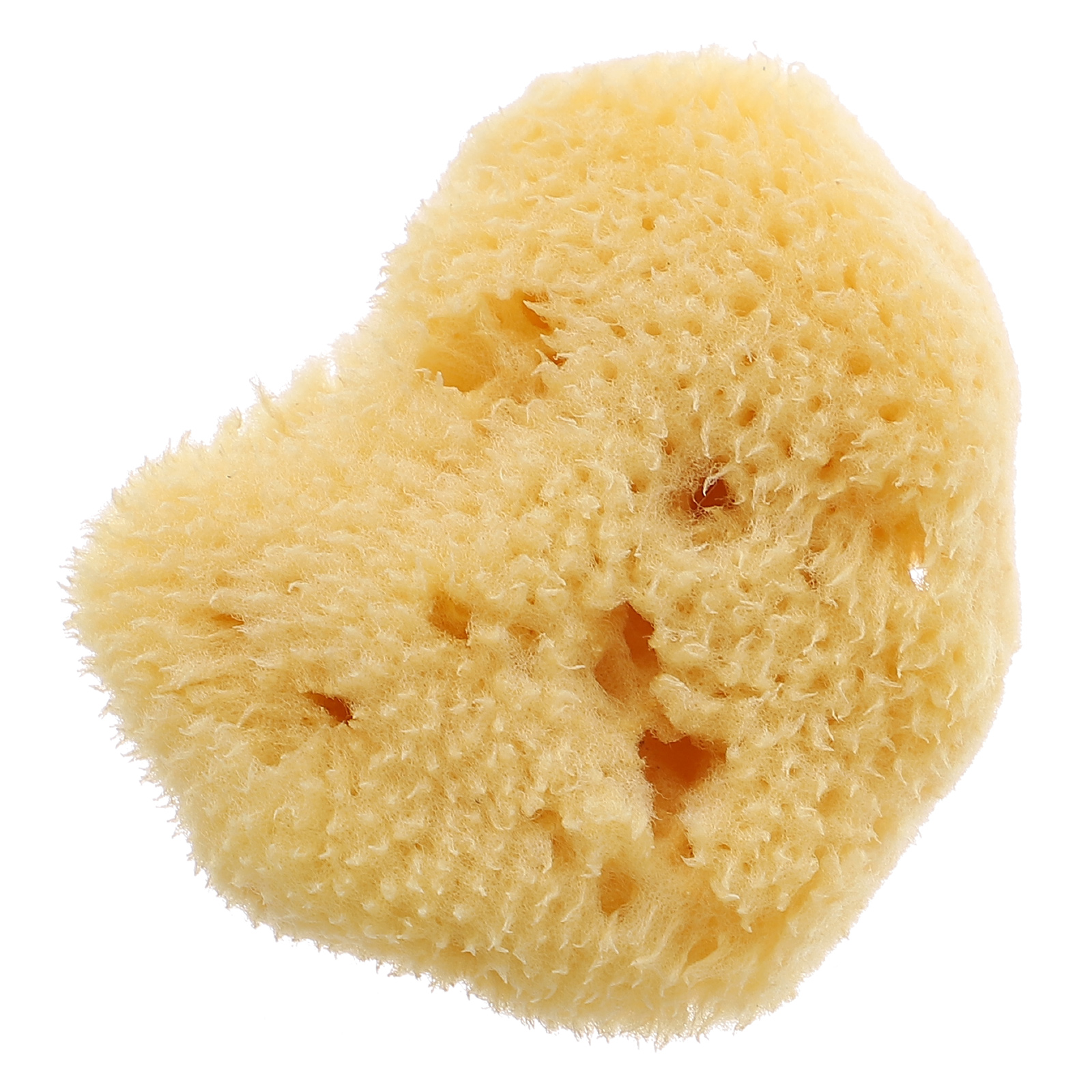 Cosmetic Sponges Painting Texture Acrylic Face for Makeup Natural to ...