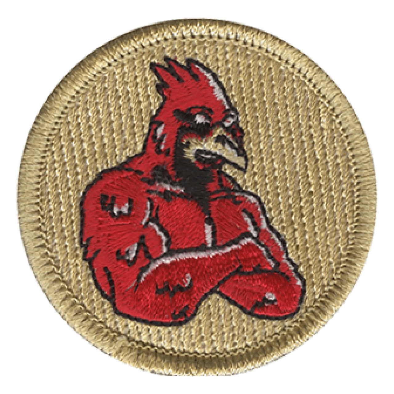 Cosmic Cardinal Scout Patrol Patch (Sew-on) - ClassB - Walmart.com