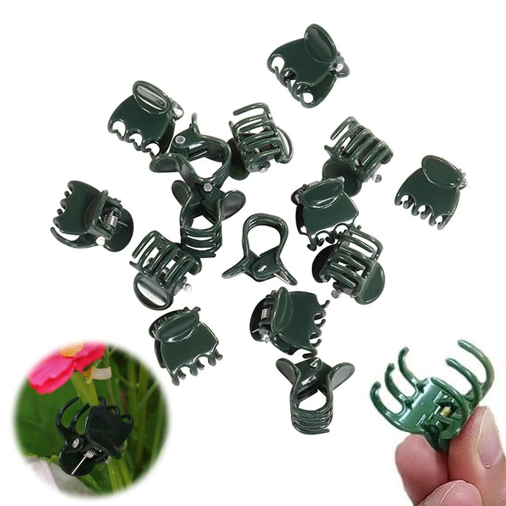 CosmicCuration 100 Pcs Plant Clips, Orchid Clips for Climbing Plants ...