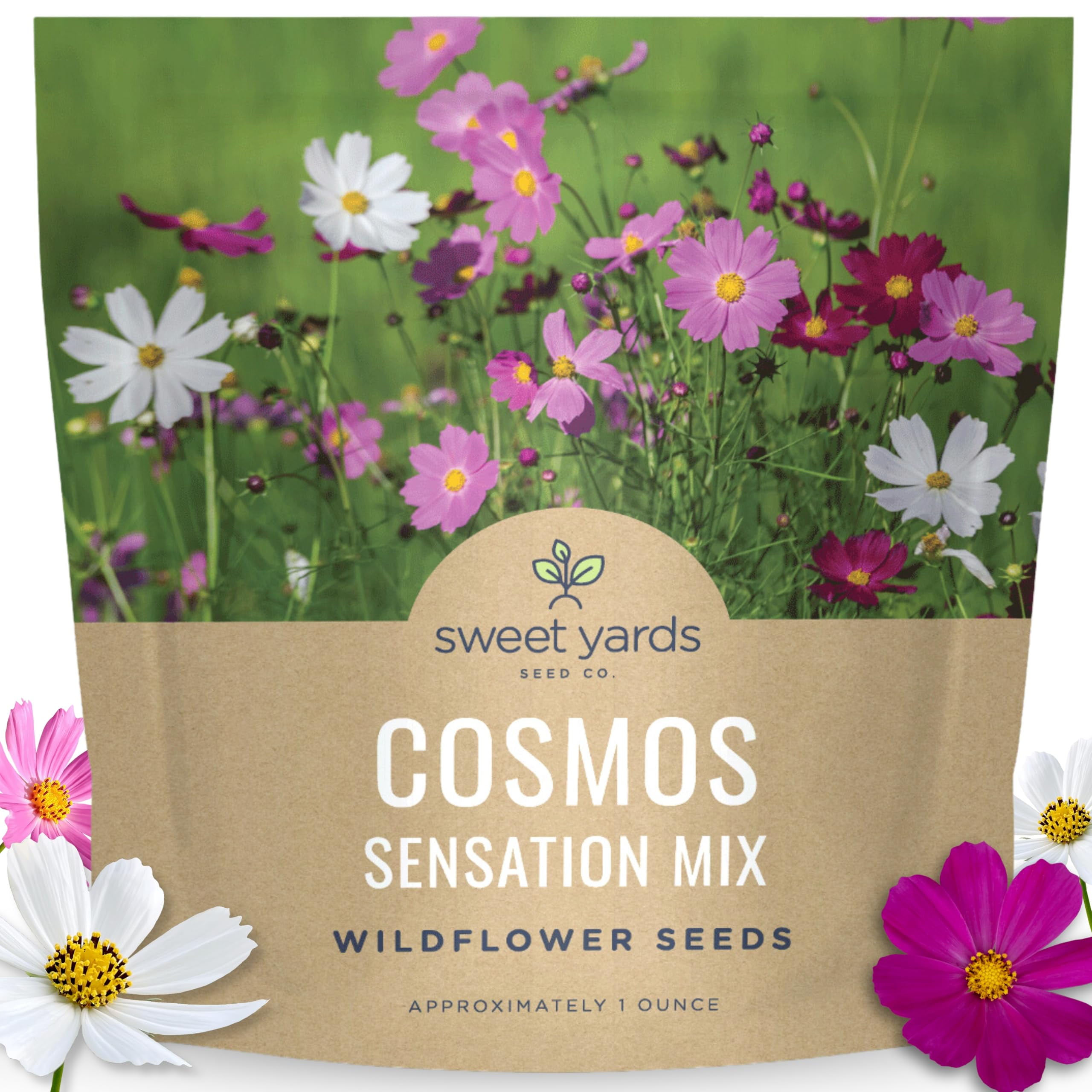 Cosmos Sensation Mix TWE5 - Large 1 Ounce Packet - 4,000 Flower Seeds ...