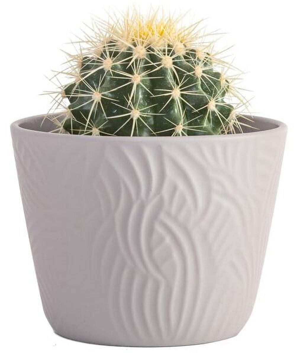 Costa Farms Desert Escape Live Indoor Plant Cactus in 6in Ceramic Pot ...
