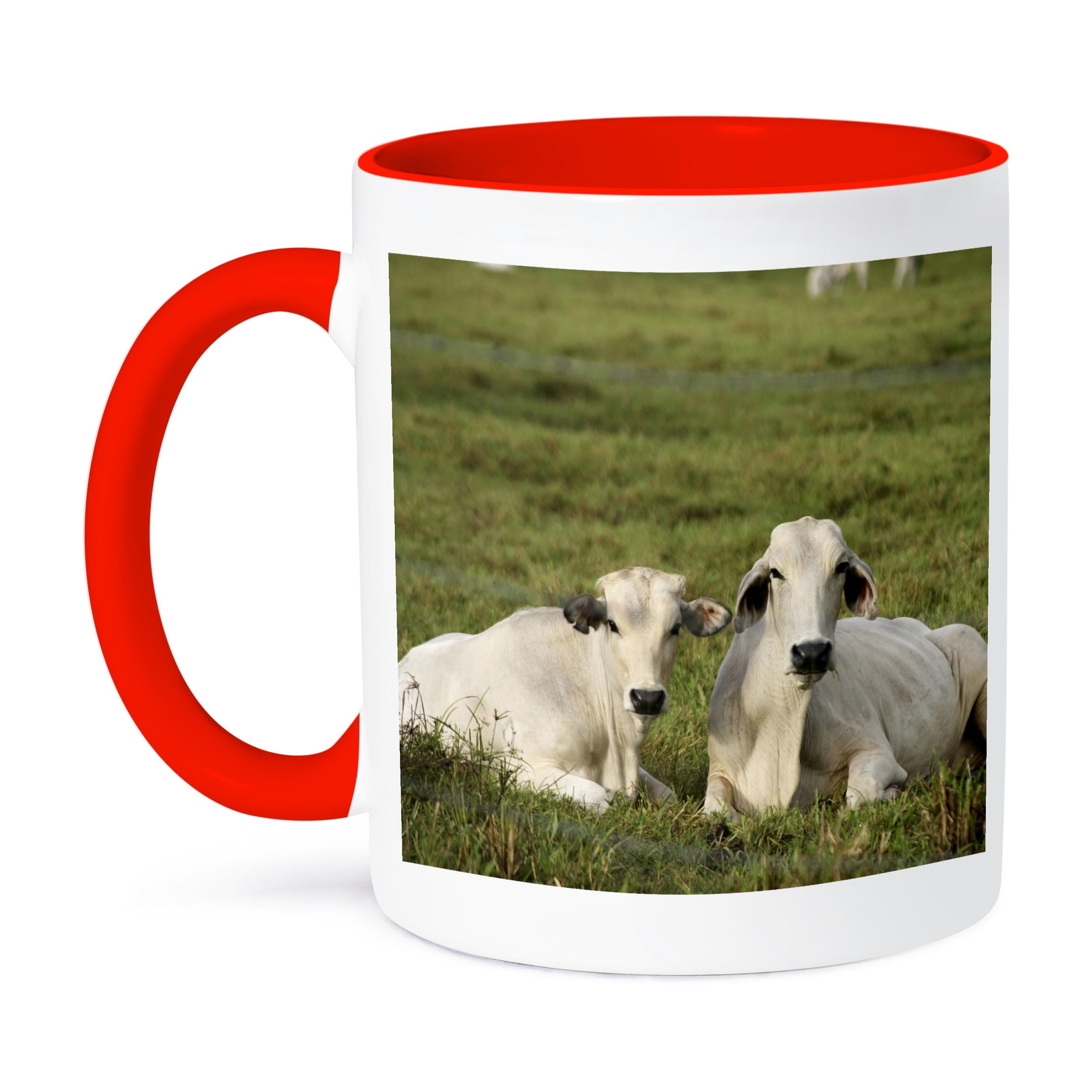 Costa Rica, Farm Animals, Cows, Corcovado Peninsula - Sa22 Kwi0000 ...