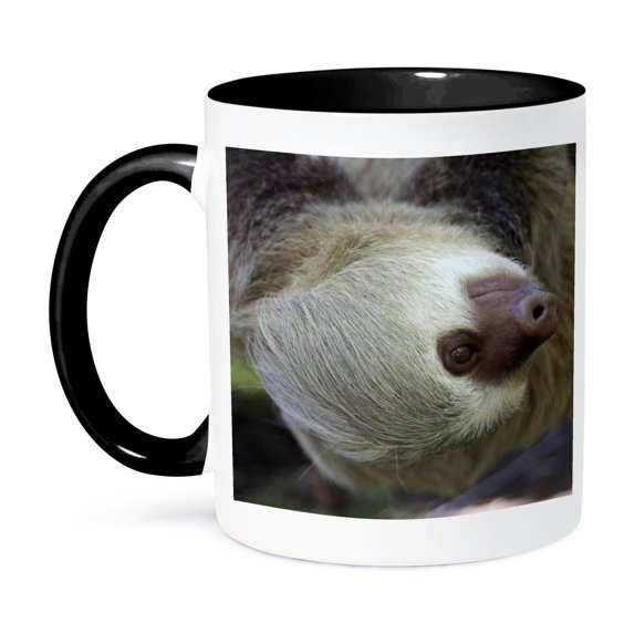 3dRose, Costa Rica, Hoffmans Two-Toed Sloth wildlife - SA22 KWI0003 ...