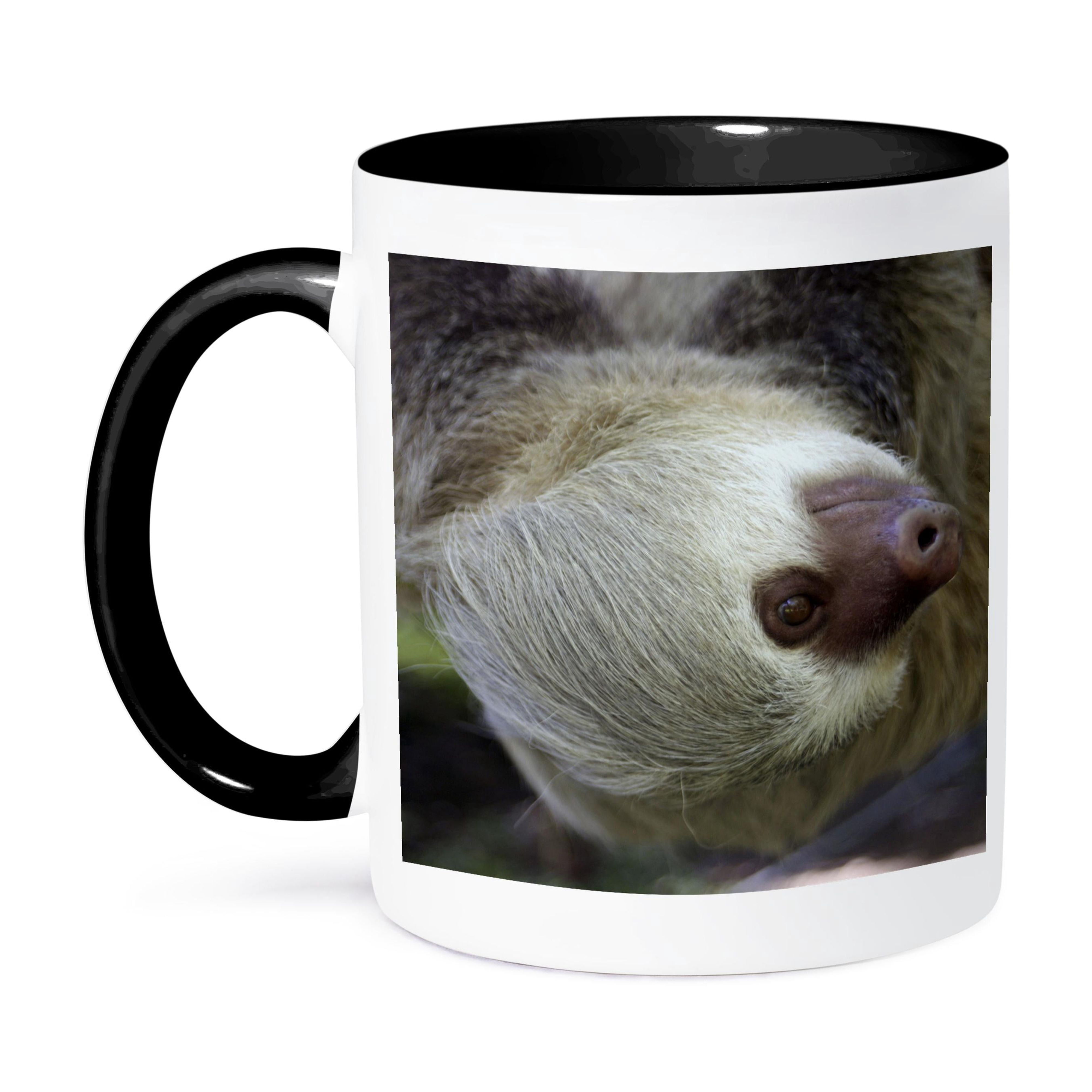 3dRose, Costa Rica, Hoffmans Two-Toed Sloth wildlife - SA22 KWI0003 ...