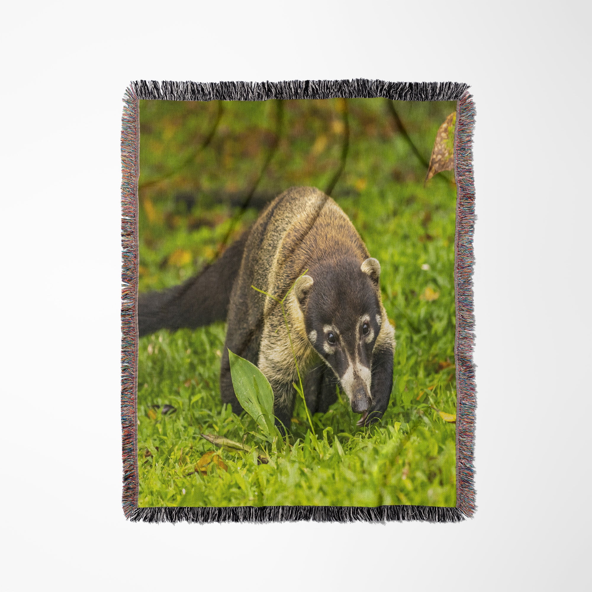 Costa Rica, Tuis Valley. Close-Up Of Coatimundi., Woven Blanket ...