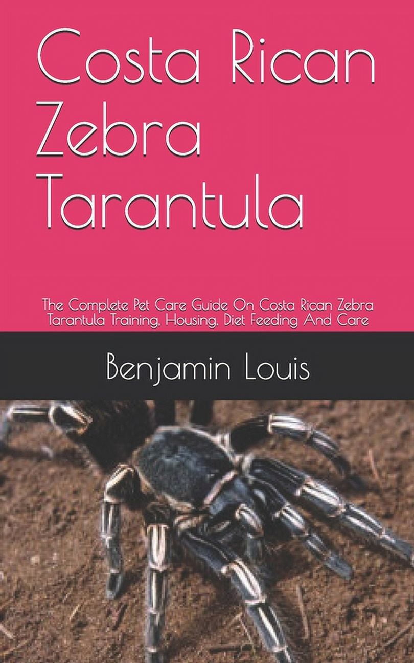 Costa Rican Zebra Tarantula : The Complete Pet Care Guide On Costa Rican Zebra Tarantula ...