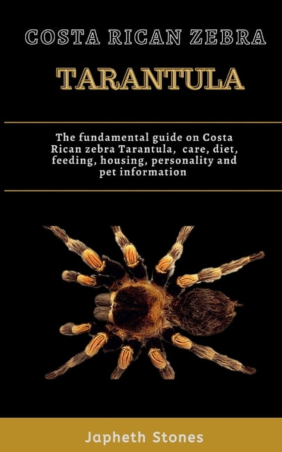 Costa Rican Zebra Tarantula : The fundamental guide on Costa Rican ...