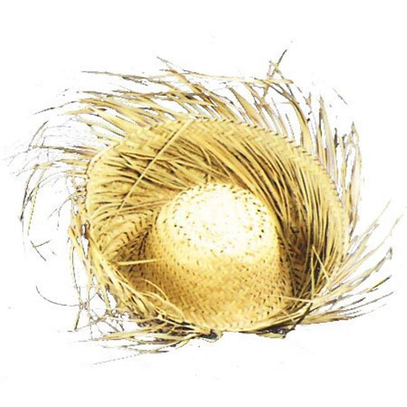 Costumes For All Occasions GC32 Birds Nest Hat - Walmart.com