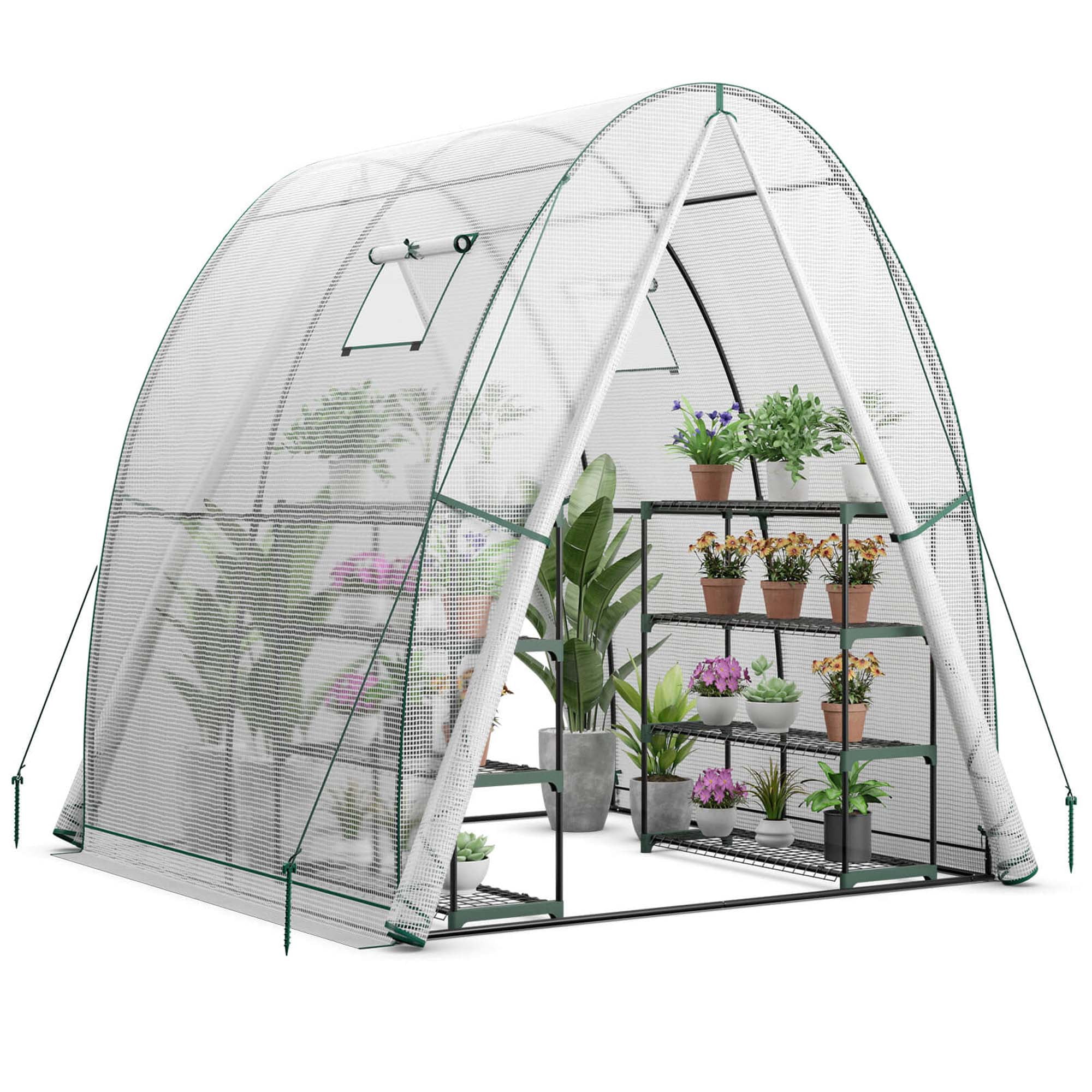 Costway Portable Tunnel Greenhouse, 2 Zippered Doors, 2 Roll-up Windows, 6x6x6.6 FT, White ...
