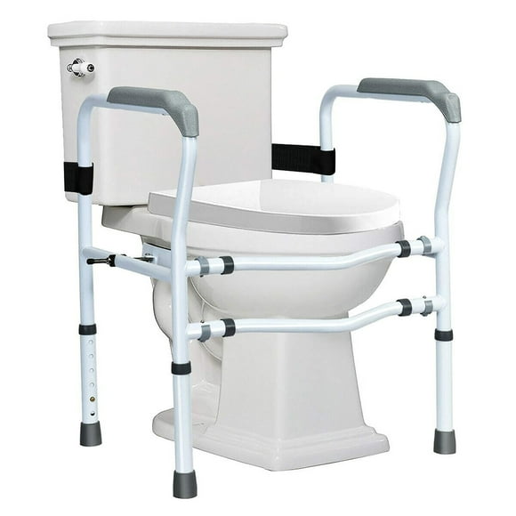 Toilet Safety Rails in Raised Toilet Seats - Walmart.com