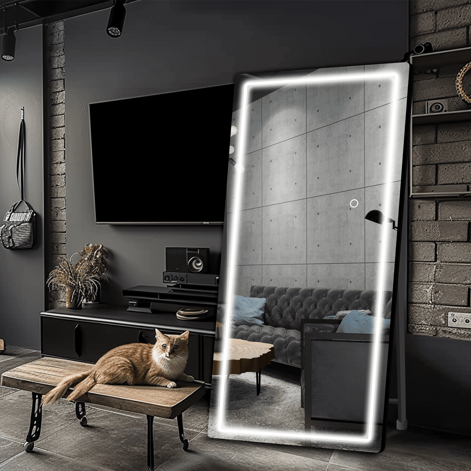 Cotiro LED Full Length Mirror with Lights, 67"x20" Floor Standing LED ...