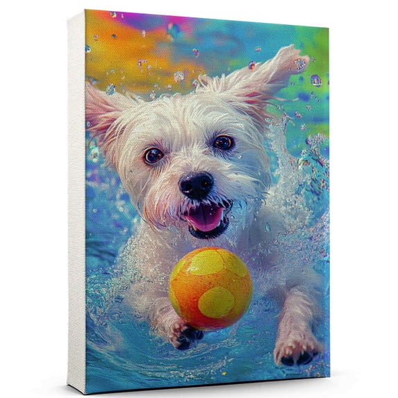 Cotonde Tulear Dog Playing Swimming Stretched Canvas Size 8x12 ...