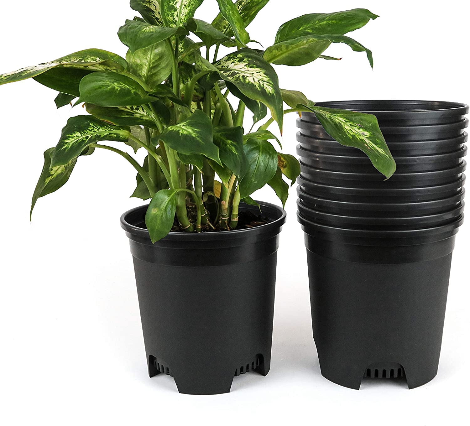 Cotta Planters 1.5 Gallon Nursery Pots 50-Pack 7.5 inch Wholesale Black ...