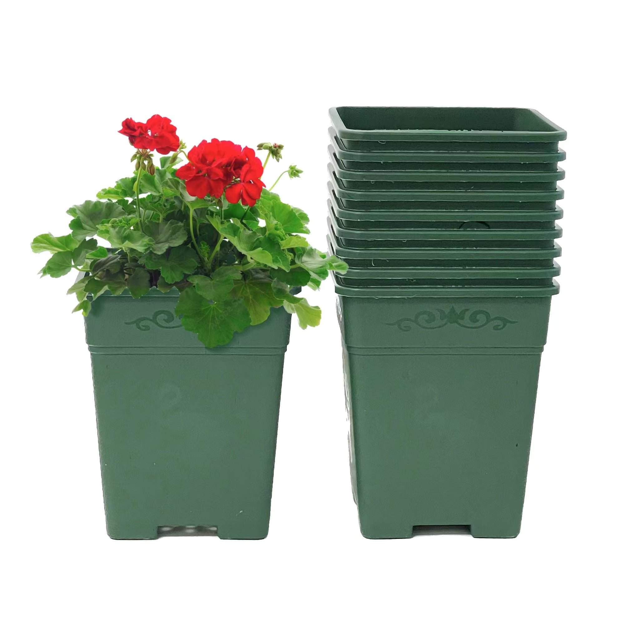 Cotta Planters 1 Gallon Square Nursery Pots 50-Pack Green 5.5 inch ...