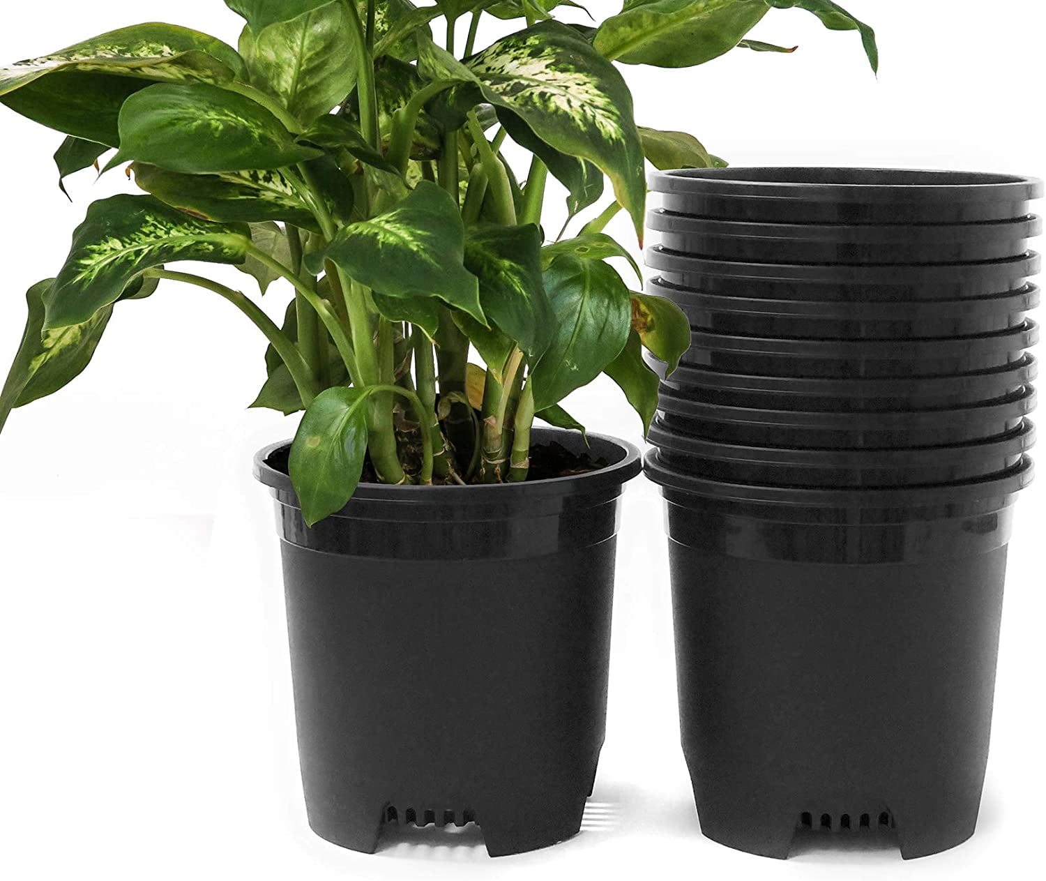Cotta Planters 2 Gallon Nursery Pots 10-Pack Plastic Planters ...