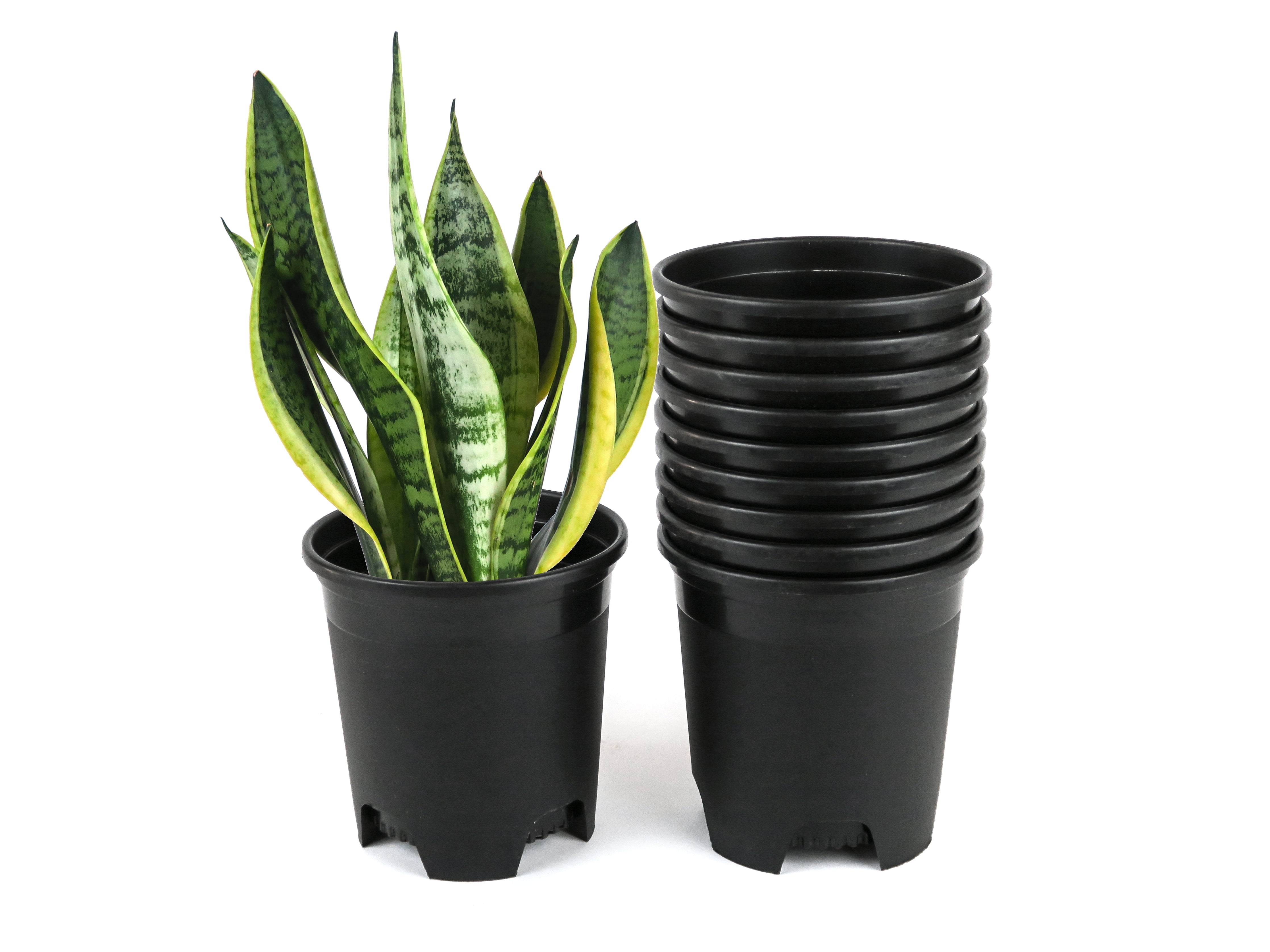 Cotta Planters 4.5 Inch Nursery Pots 30-Pack 0.35 Gallon Bulk Plastic ...