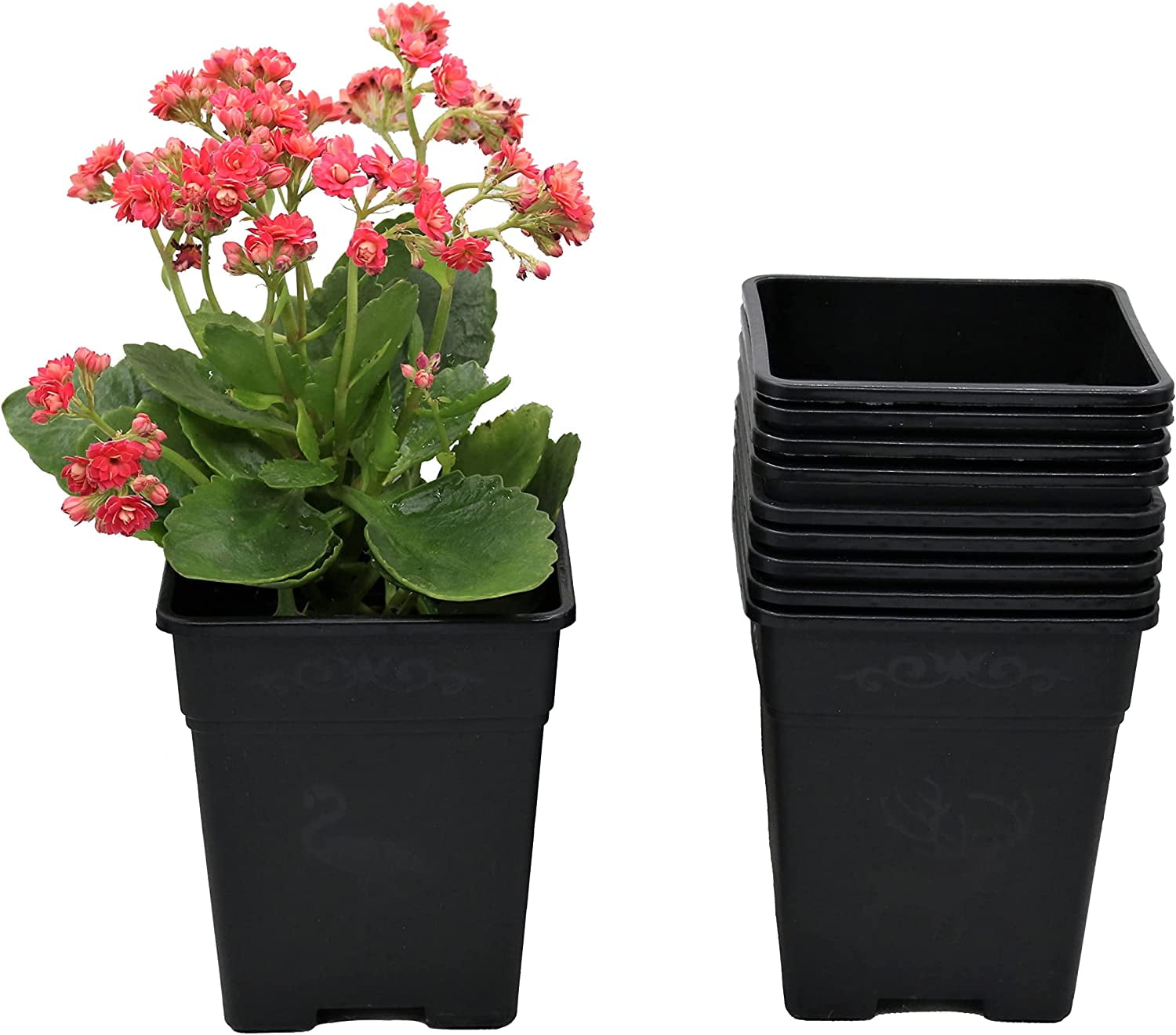 Cotta Planters 5 inch Square Nursery Pots 0.5 Gallon 30-Pack Bulk ...
