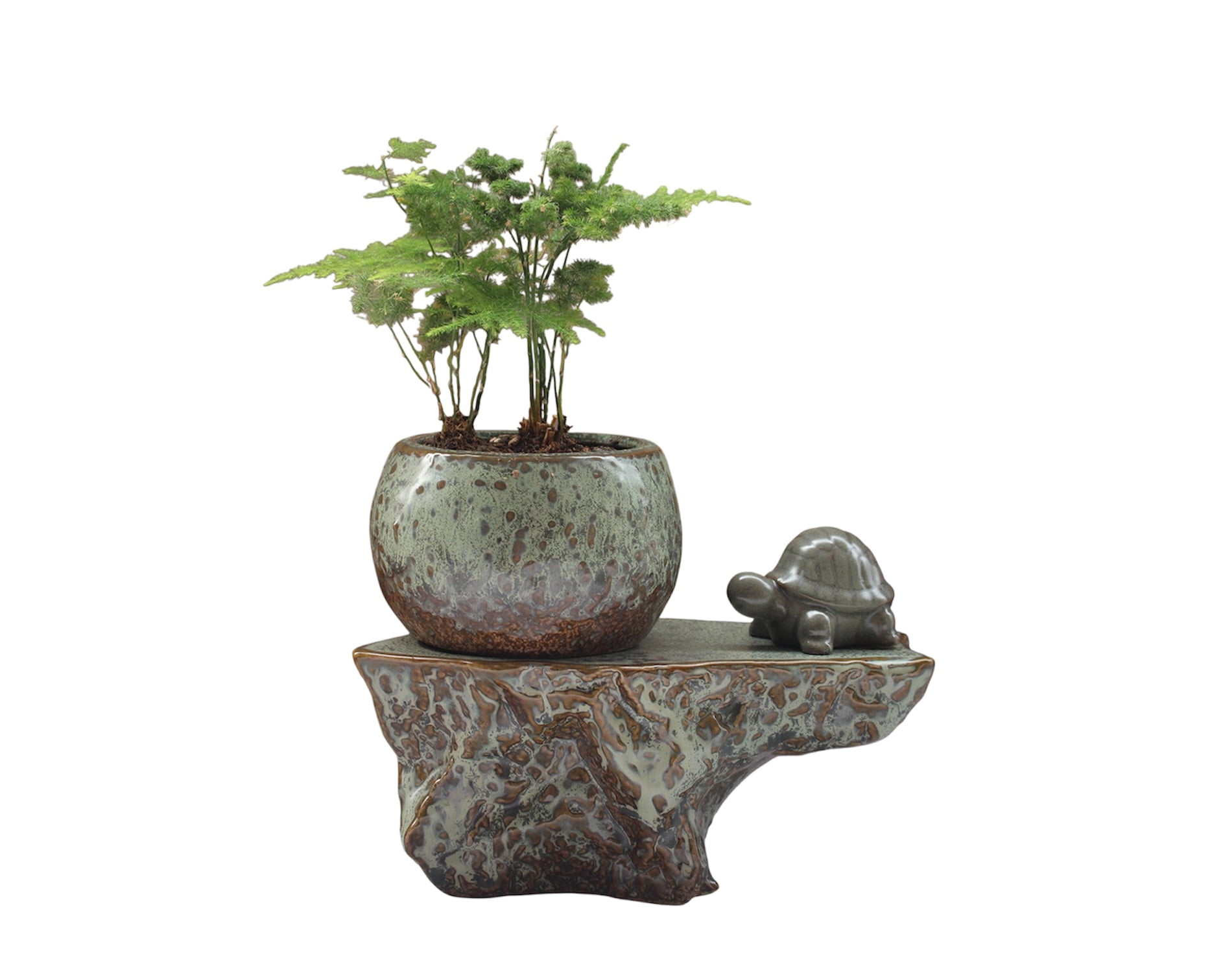 Cotta Planters Self-Watering Pot Set with Ceramic Plant Buddy Turtle ...