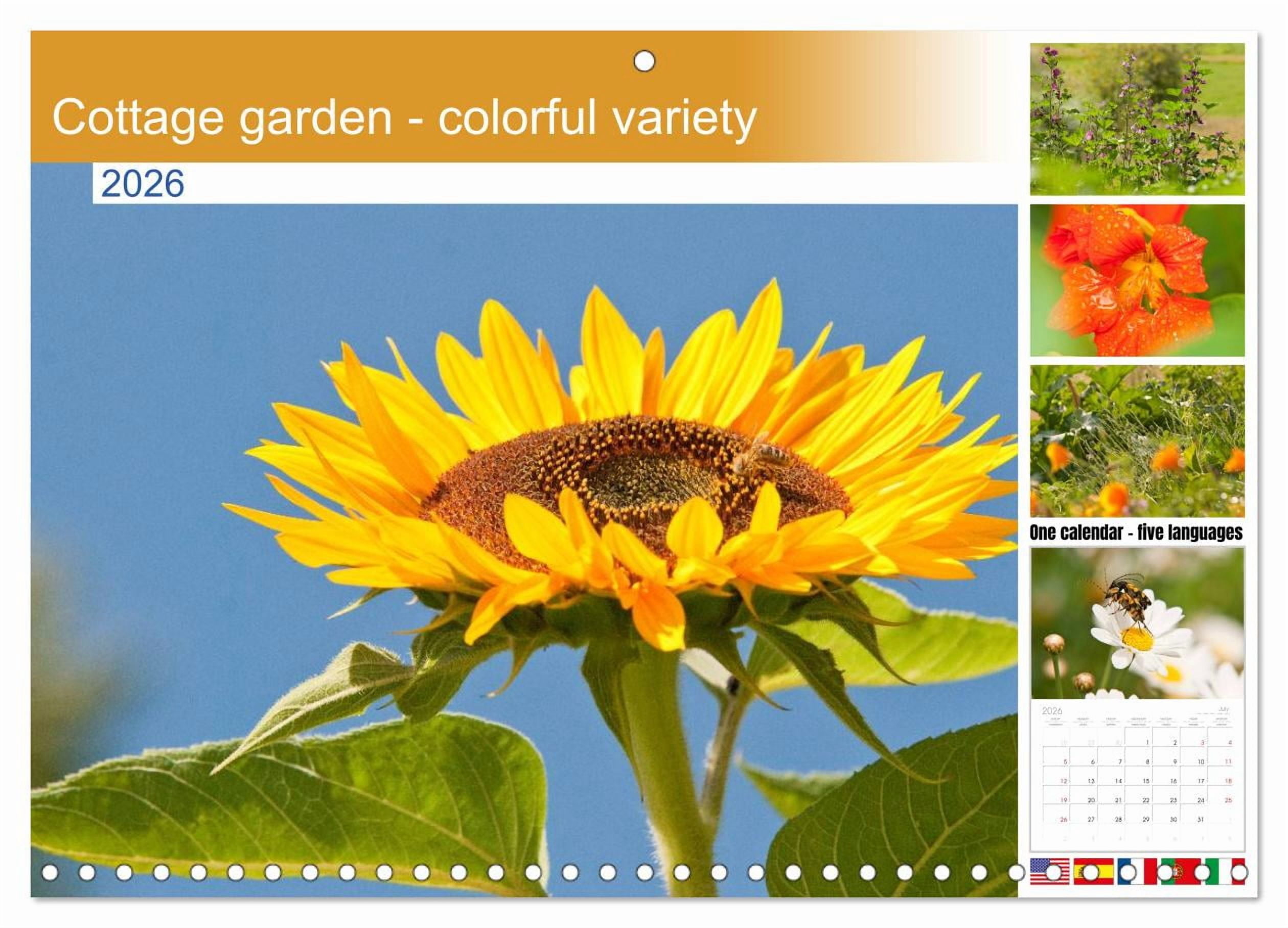 Cottage garden - colorful variety (Monthly Wall Calendar 2026 16.5 x 23 ...