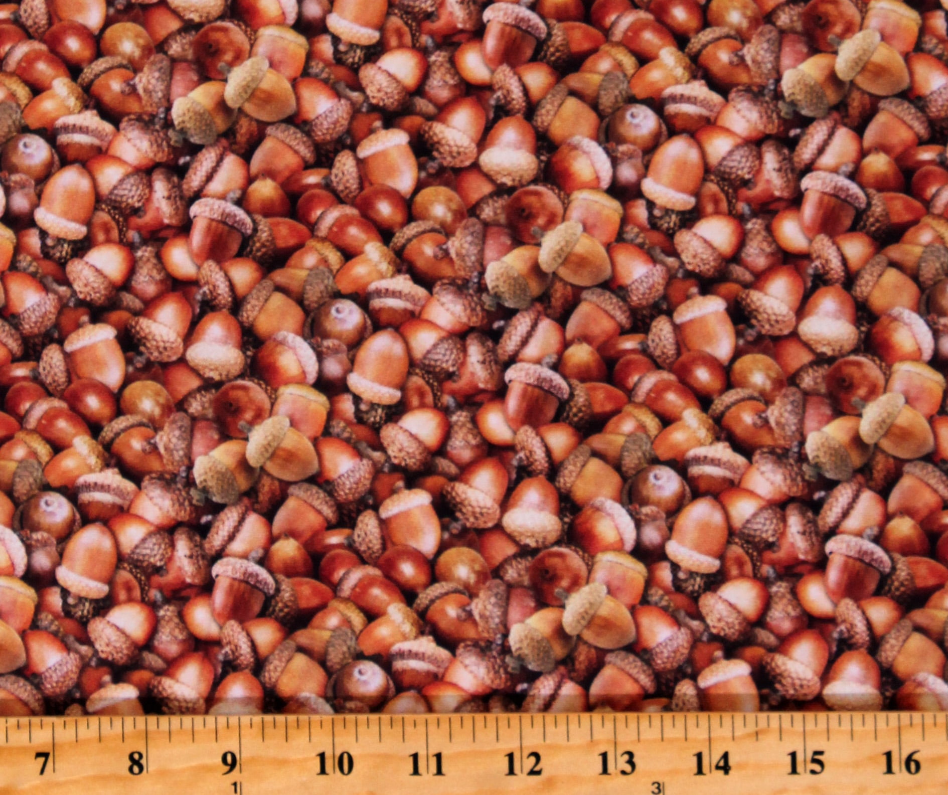 Cotton Acorns Nature Fall Autumn Landscape Medley Nuts Brown Cotton ...