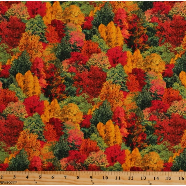 Cotton Autumn Trees Woods Forest Leaves Fall Color Tour Landscape ...