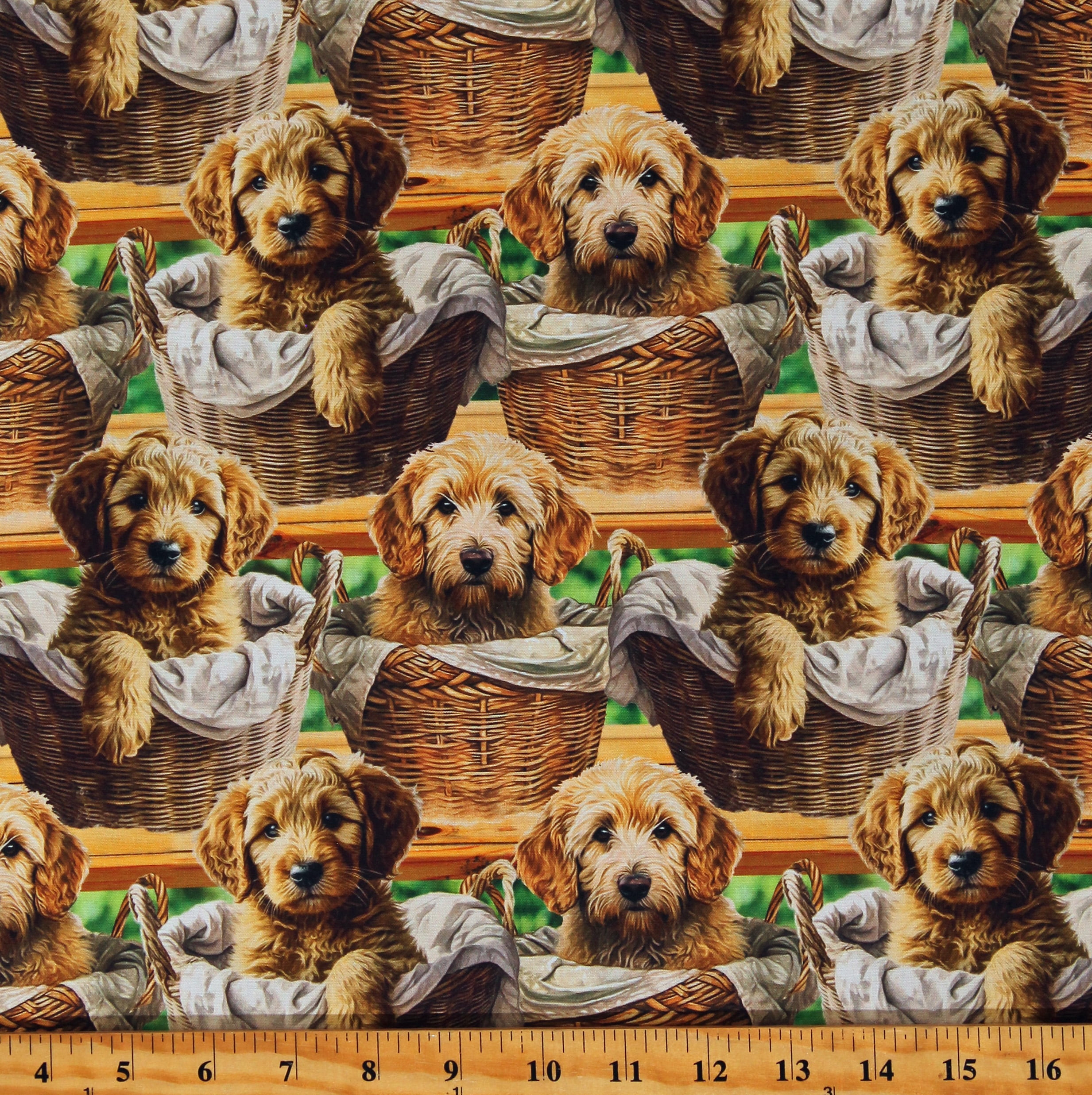 Cotton Baby Goldendoodle Dogs Puppies Pups Pets Animals Baskets Green ...