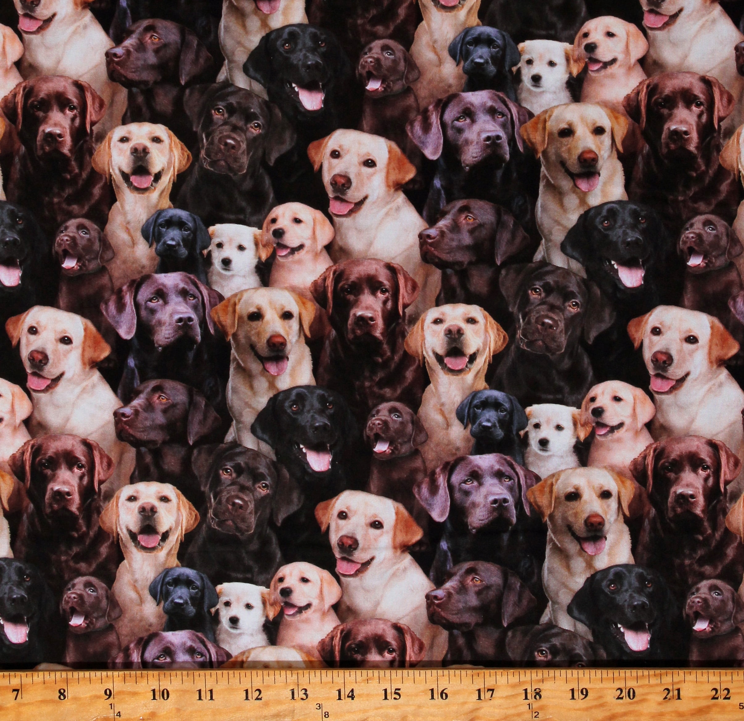 Cotton Best Friend Labrador Retriever Animals Pets Dogs Puppies ...