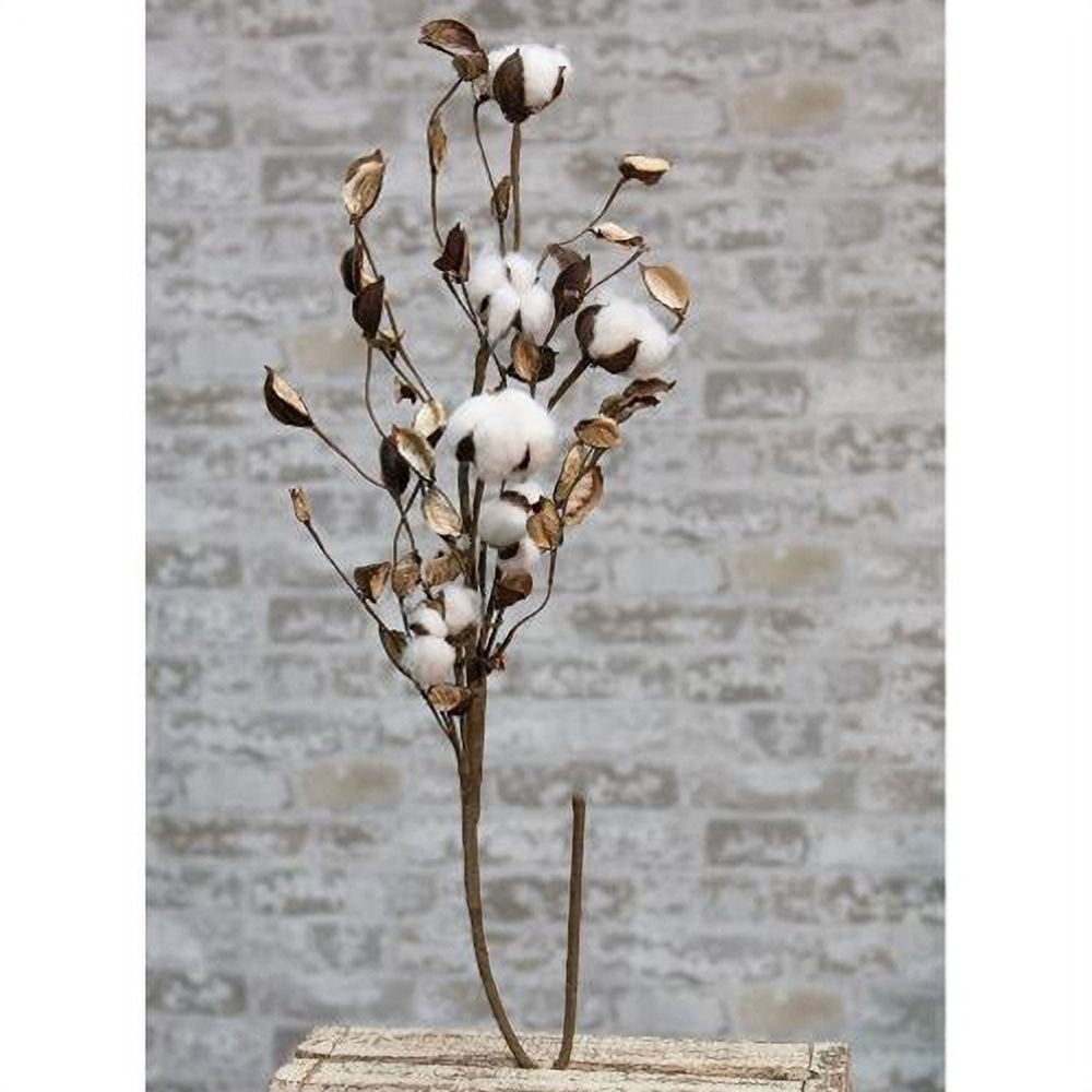 Cotton Branch w/Shells 30" (Pack of 4) - Walmart.com