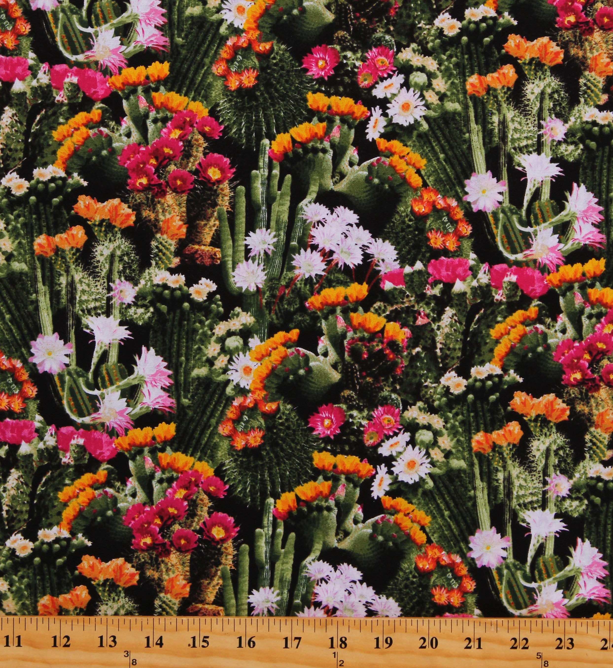 Cotton Cactus Cacti Succulents Saguaros Western Flowers Landscape ...