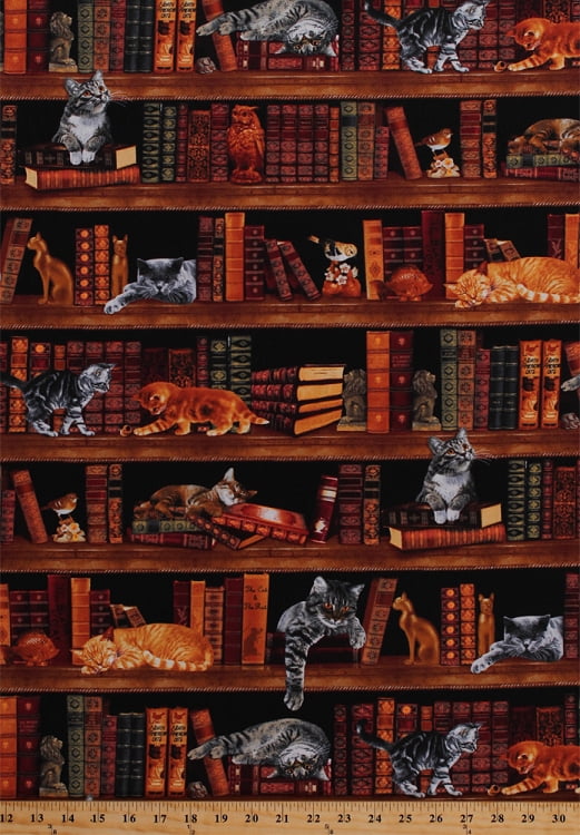Cotton Cats Kittens Kitties Books Stacks Library Bookshelves Bookcase ...
