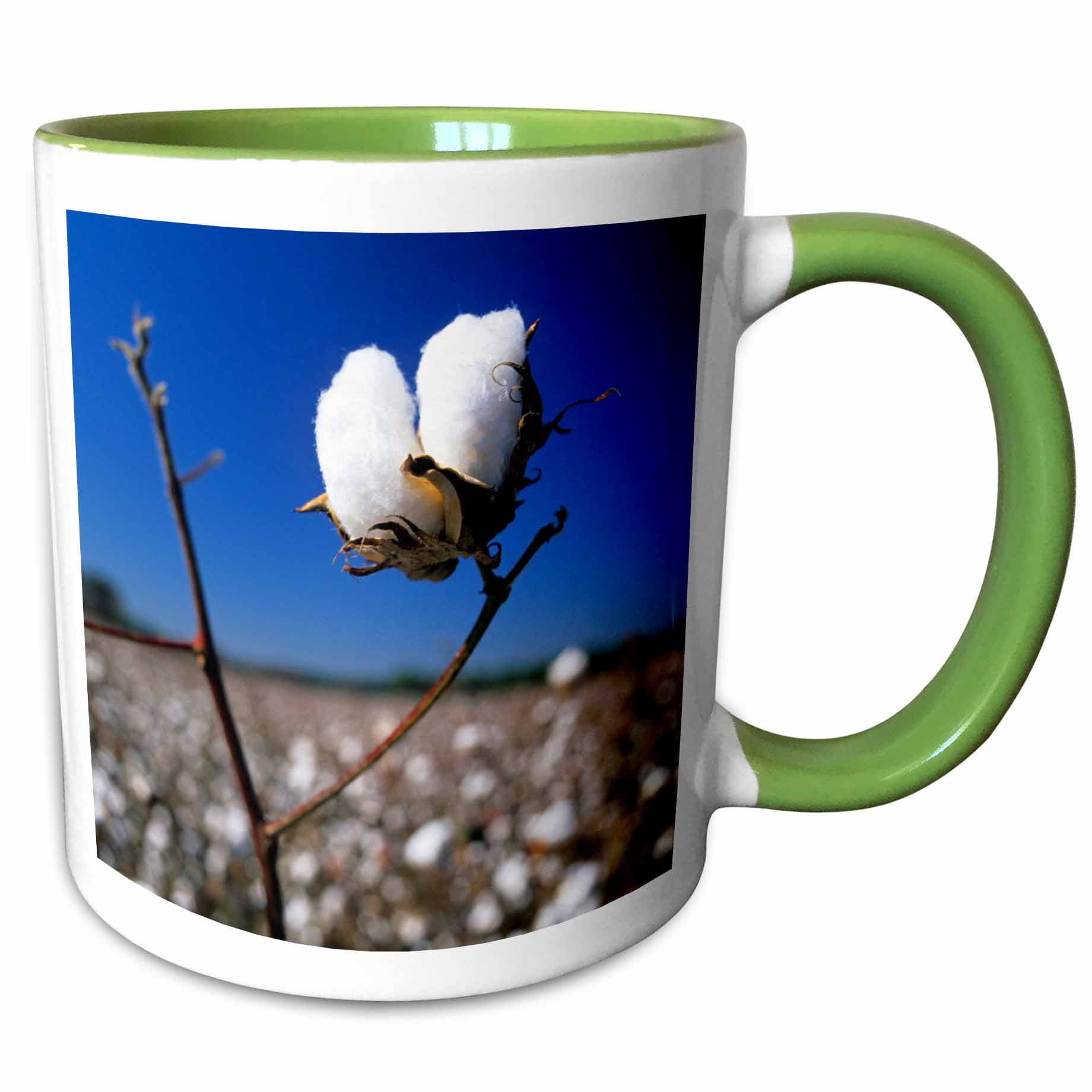 3drose, Cotton Crop Ready for Harvest, Farm, Georgia, Usa-co08 Dfr0045 ...