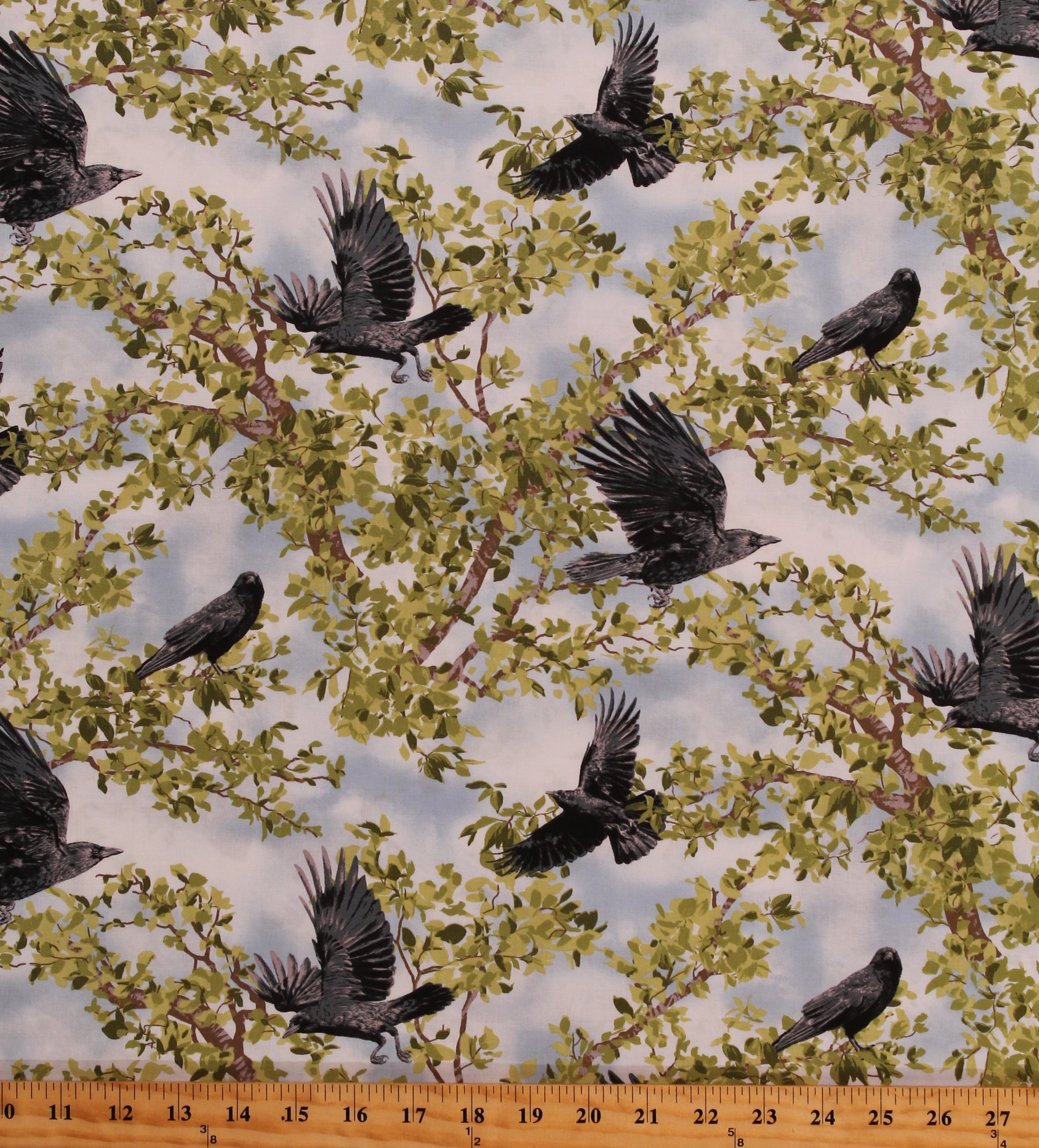 Cotton Crow Crows Raven Bird Birds Animals Wildlife Nature Trees Sky ...