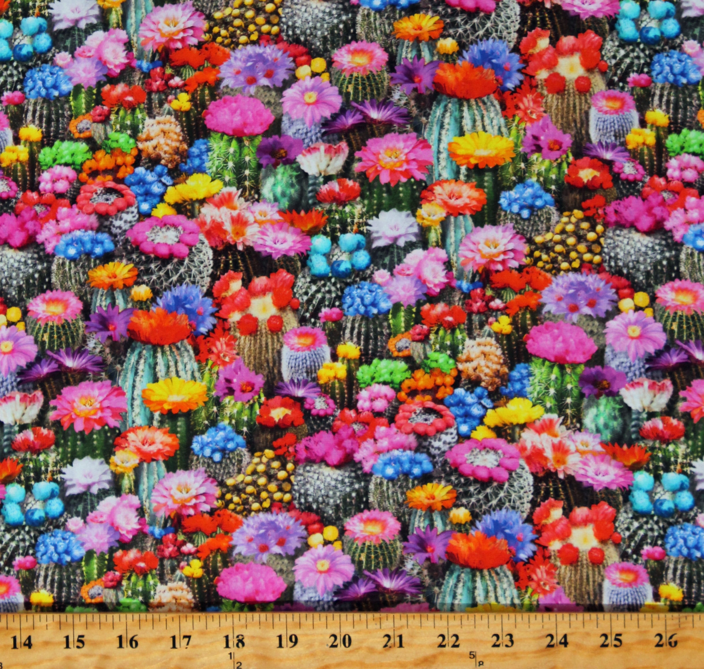 Cotton Desert Cactus Flowering Cacti Plants Floral Multi-Color ...