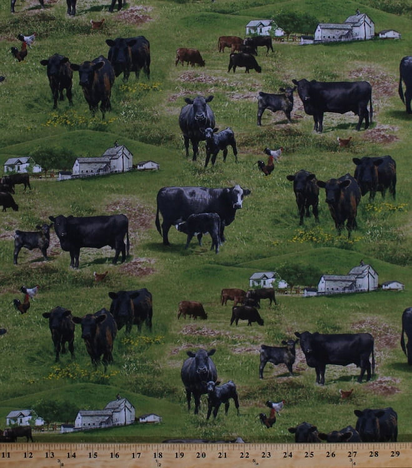 Cotton Farm Animals Cows Calf Calves Chickens Scenic Field Barns ...