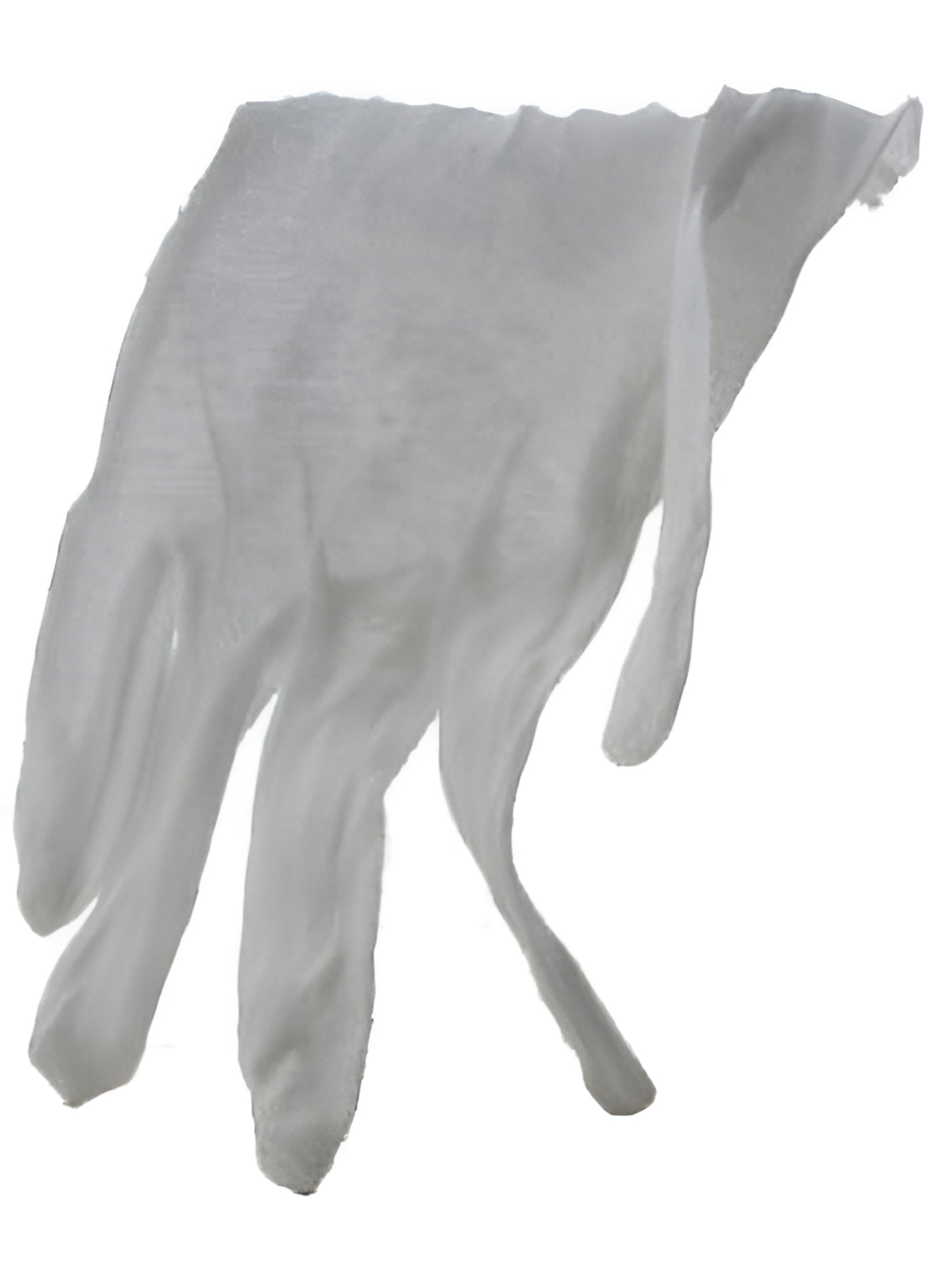 Cotton Glove Lightweight for Handling Coins Stamps Large 3 Pair ...