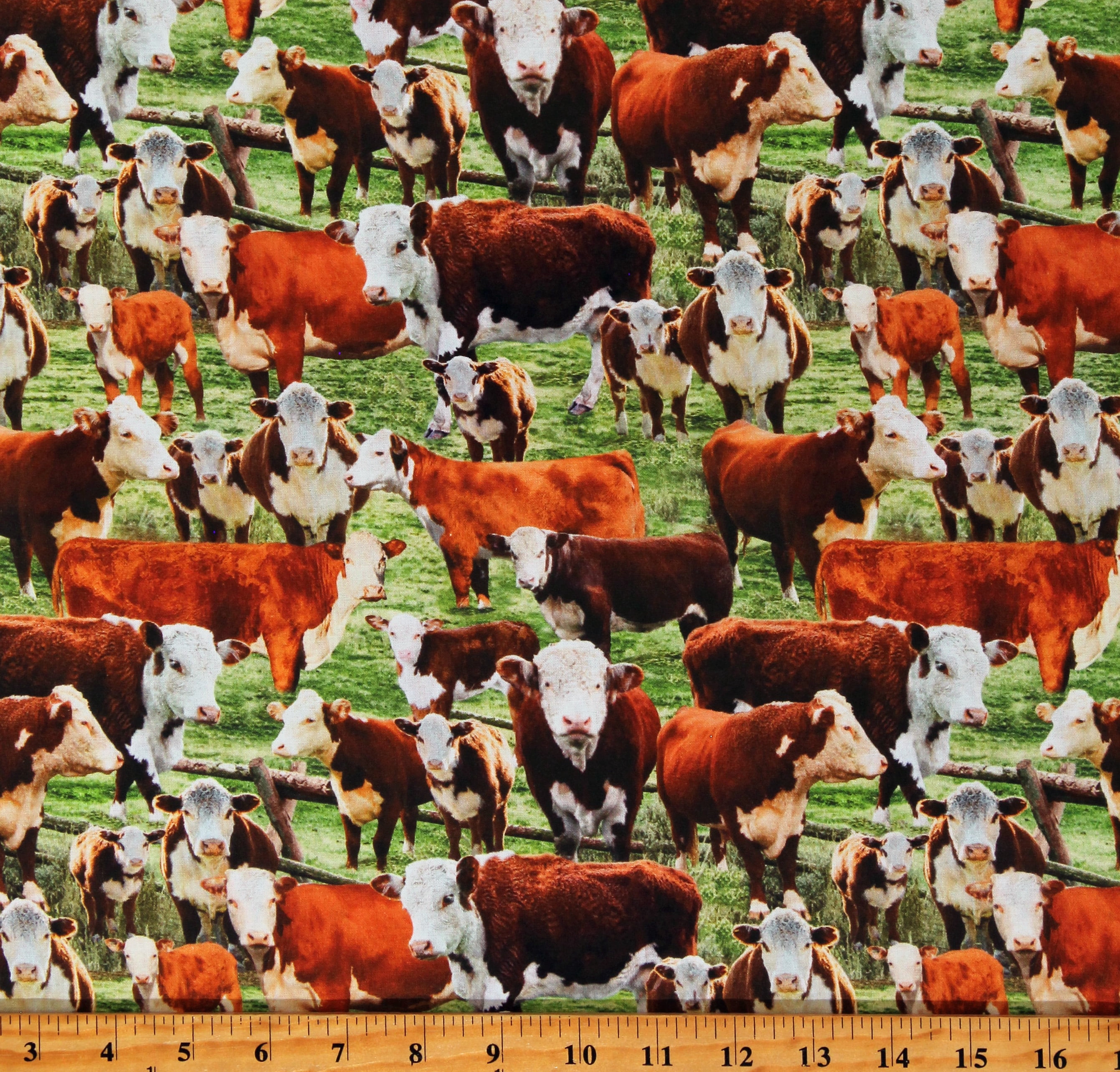 Cotton Hereford Cows in a Corral Farm Animals Multicolor Cotton Fabric ...
