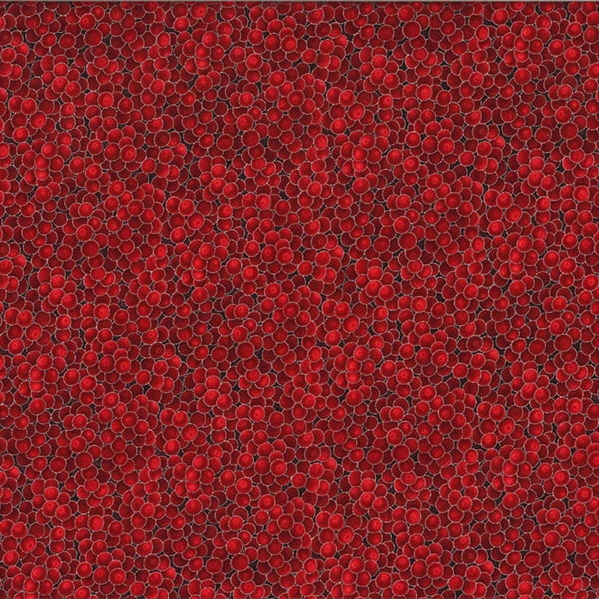Cotton Holly Berries Red Berry Christmas Winter Hoffman Holiday ...