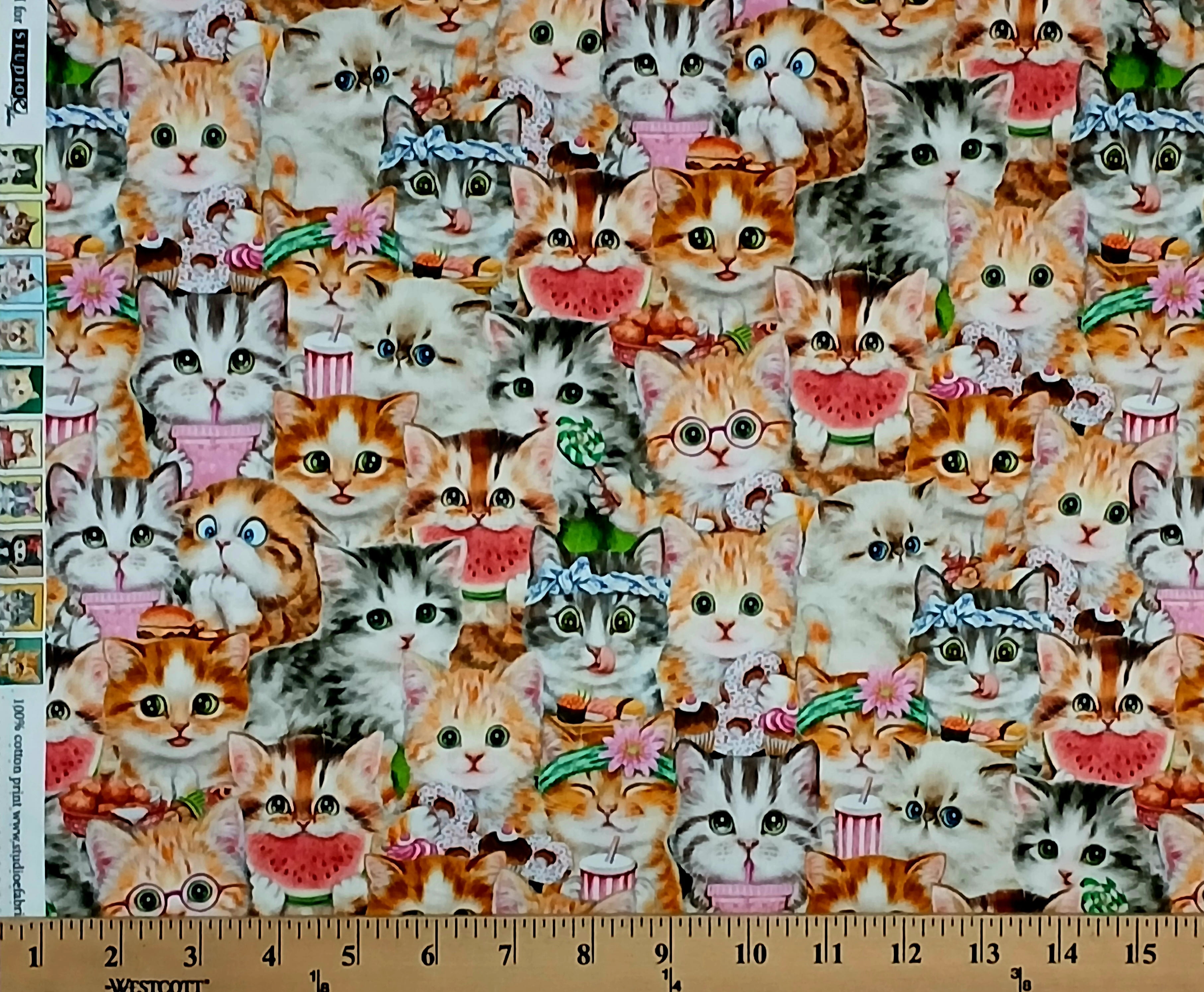 Cotton Instagram Famous Cream Multicolor Cats Watermelon Cute Studio E ...