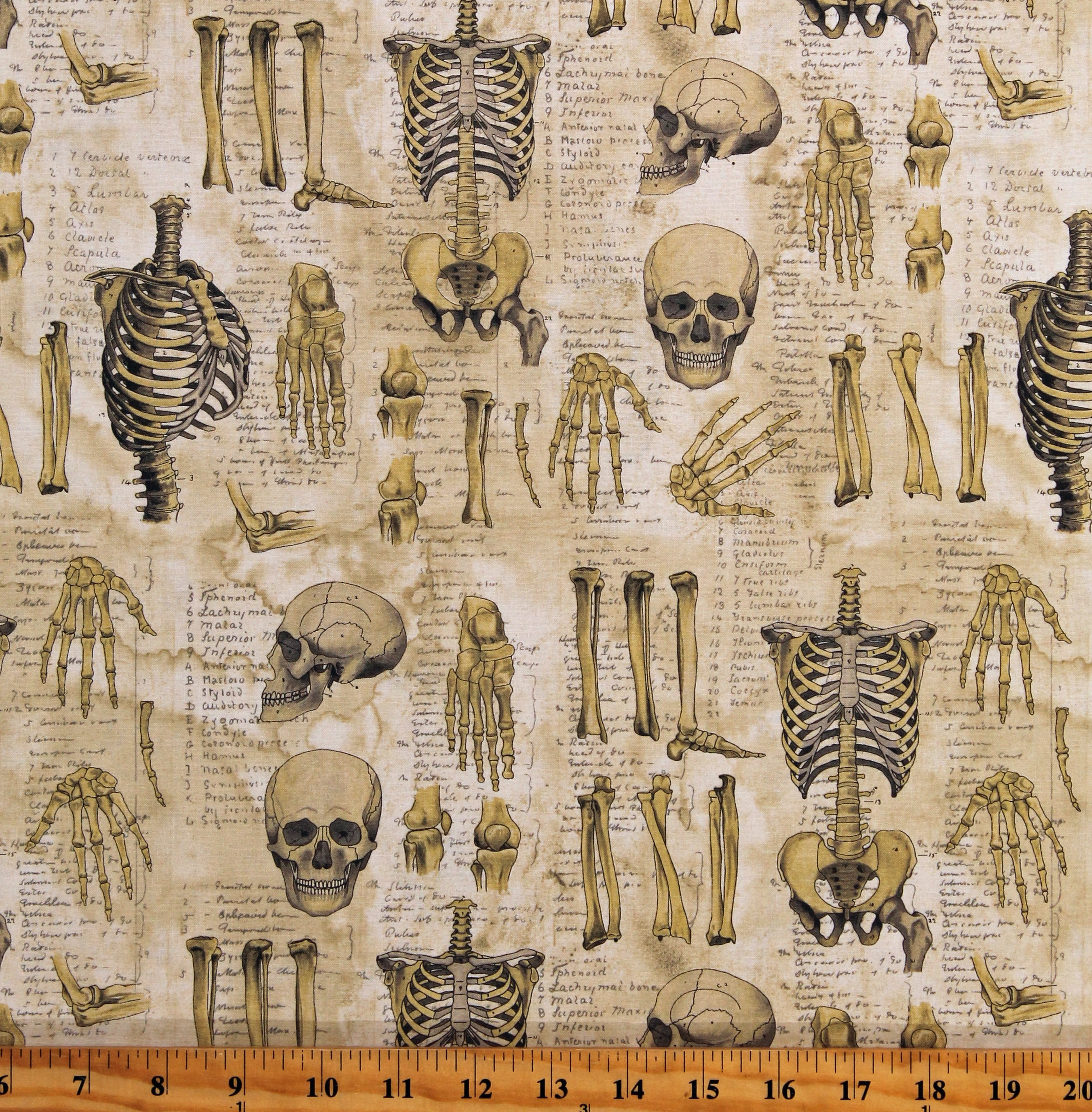 Cotton Laboratory Tim Holtz Eclectic Elements Anatomy Skeleton Body ...