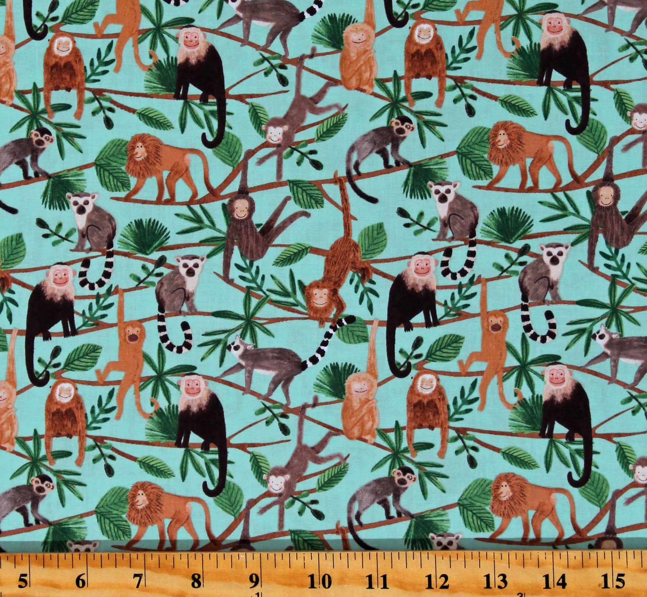 Cotton Lemurs Monkeys Trees Branches Animals Ticket to the Zoo ...