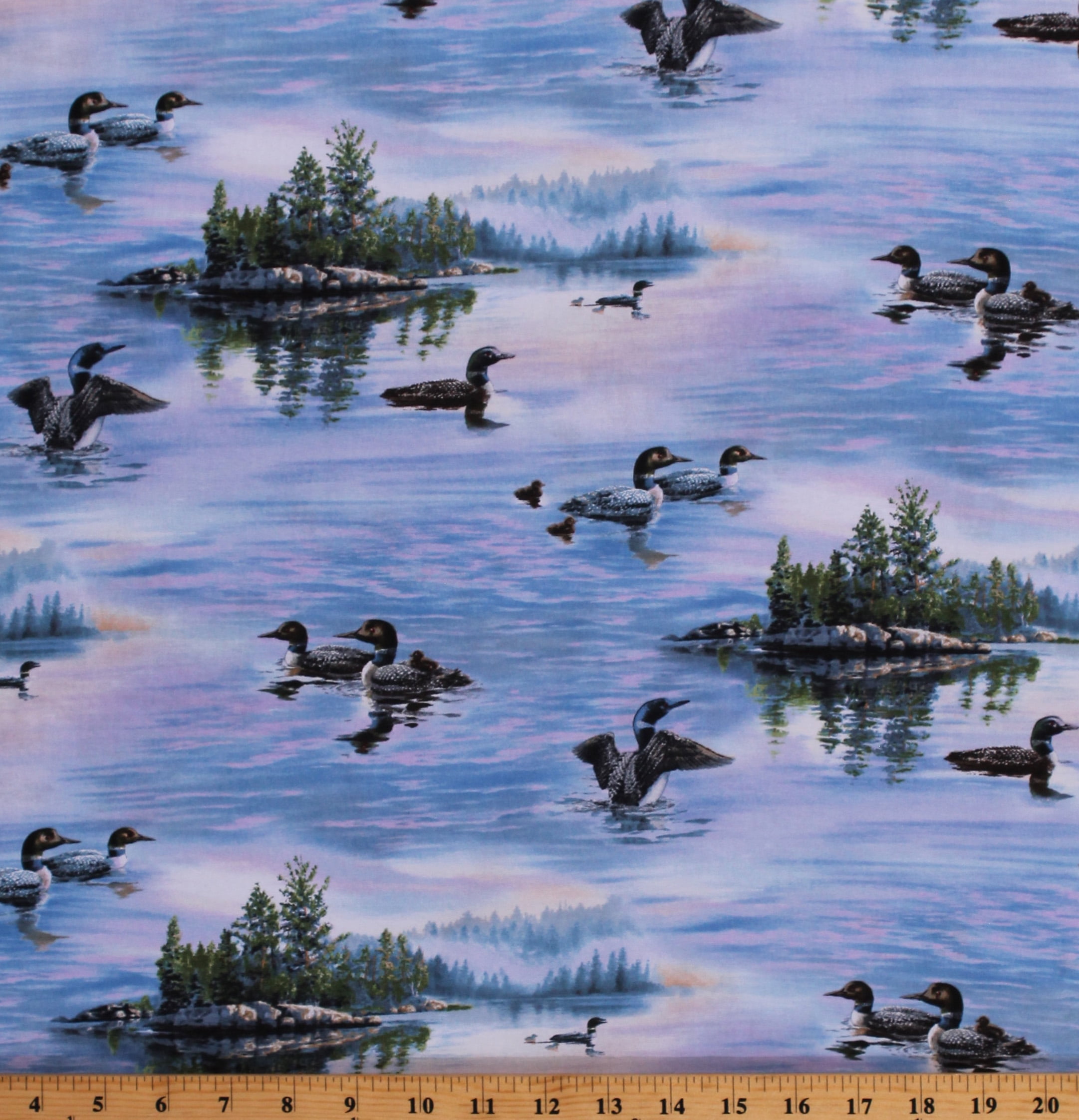 Loon Fabric