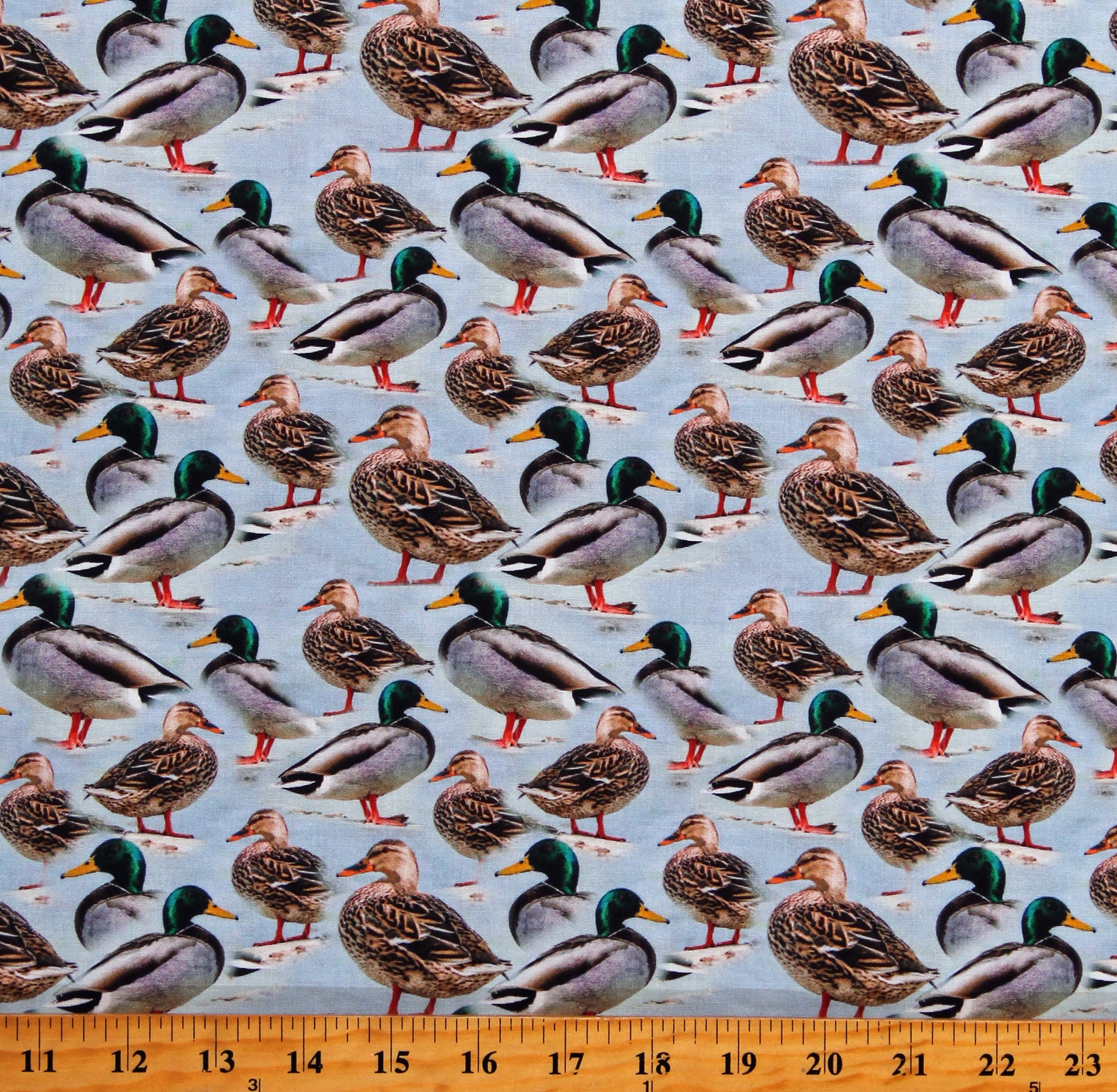 Cotton Mallards Ducks Animals 2024 Birds Mallard Blue Cotton Fabric ...