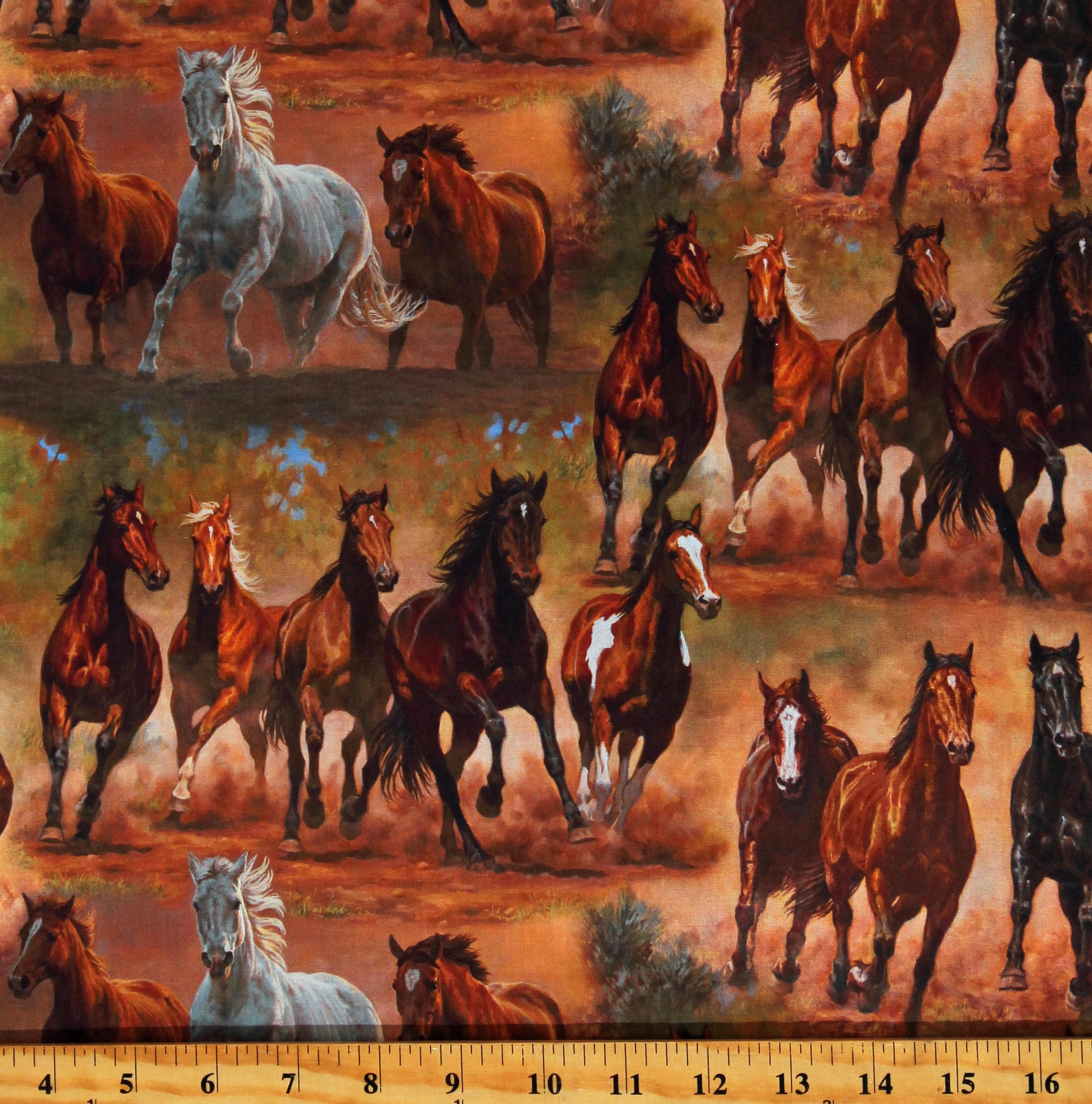 Cotton On the Run Horses Equestrian Animals Creatures Running Galloping ...