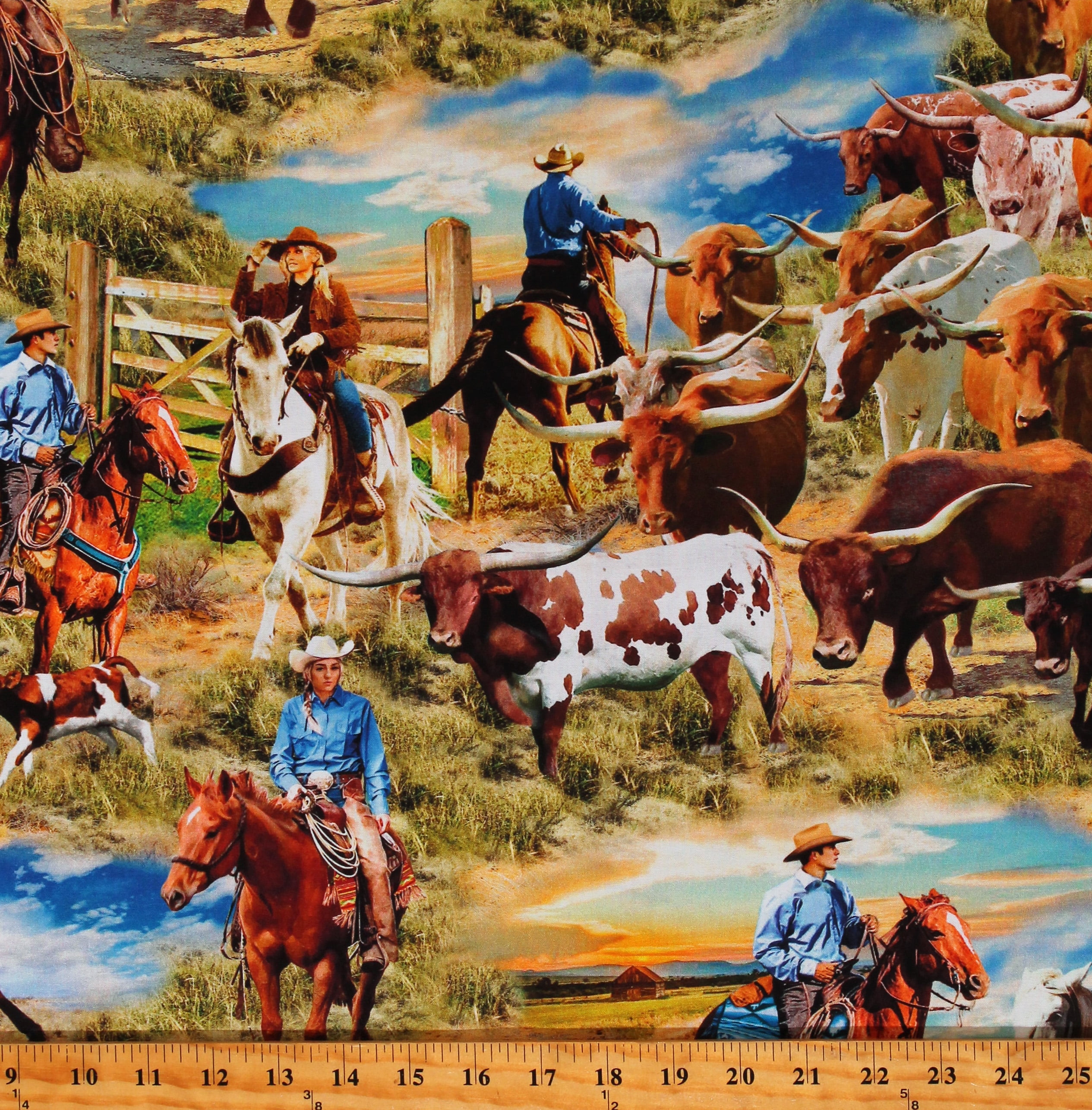 Cotton Riding Roping Horses Cowboys Cowgirls Riders Herding Long Horned ...