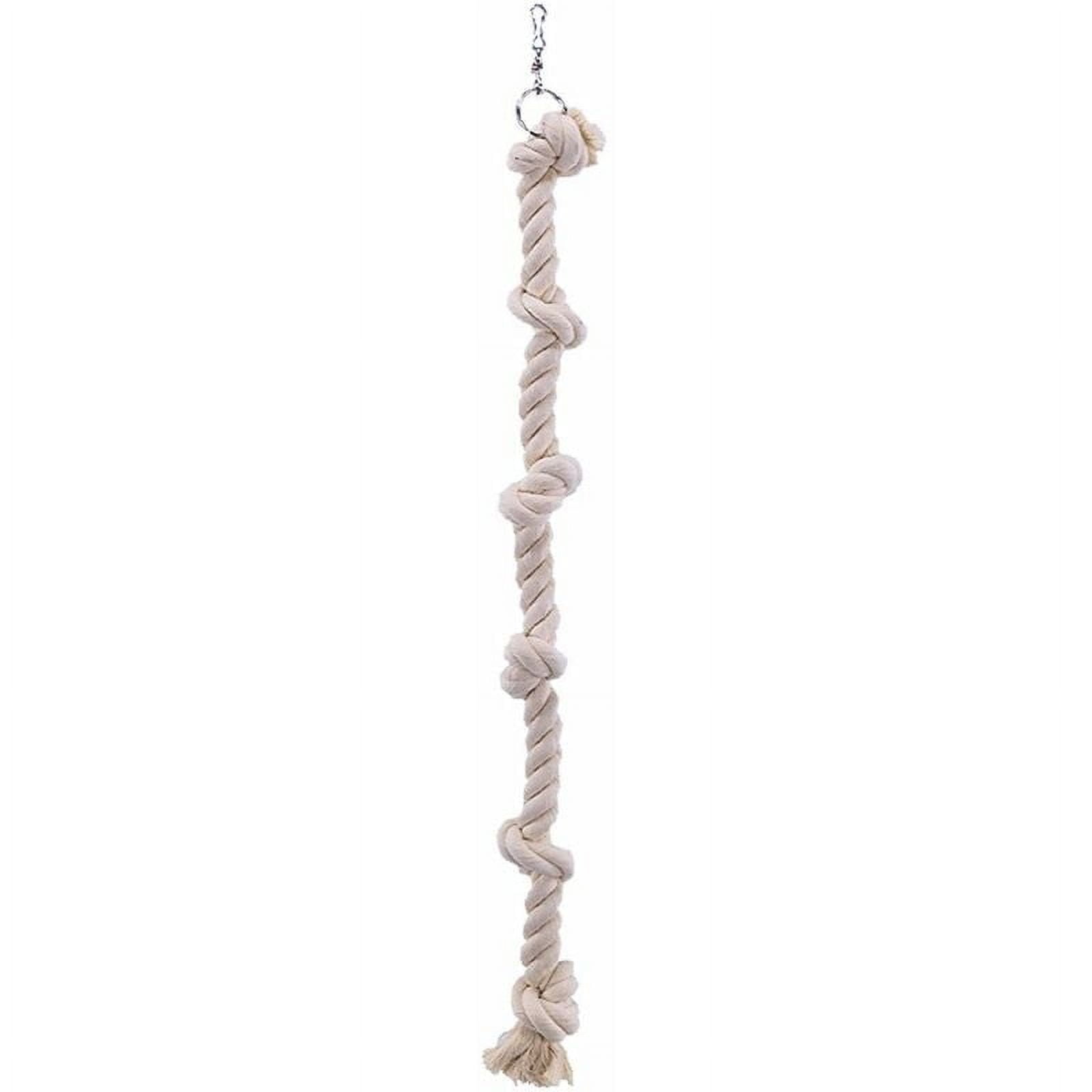 Cotton Rope Bird Swing Set, Promotes Physical Health and Interactive ...