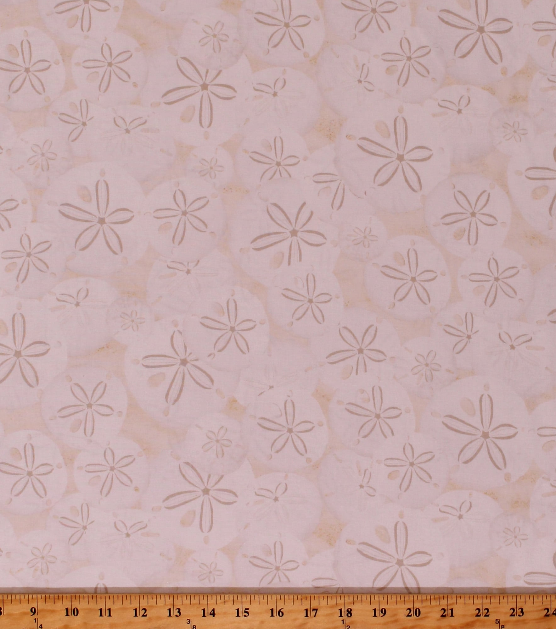 Cotton Sand Dollars Sea Shells Seashells Beach Ocean Nautical Off-White ...