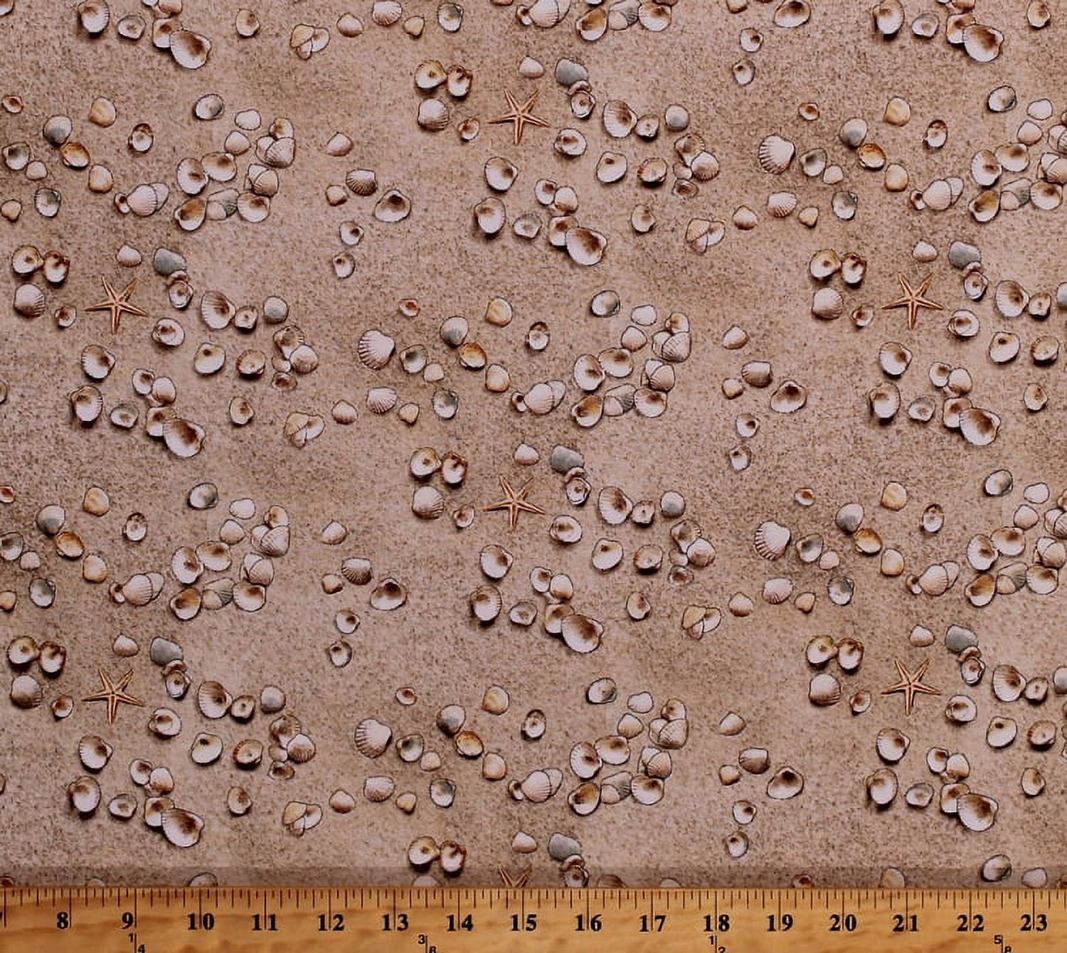 Cotton Sand Seashells Sea Shells Starfish Beach Summer Landscape Medley ...