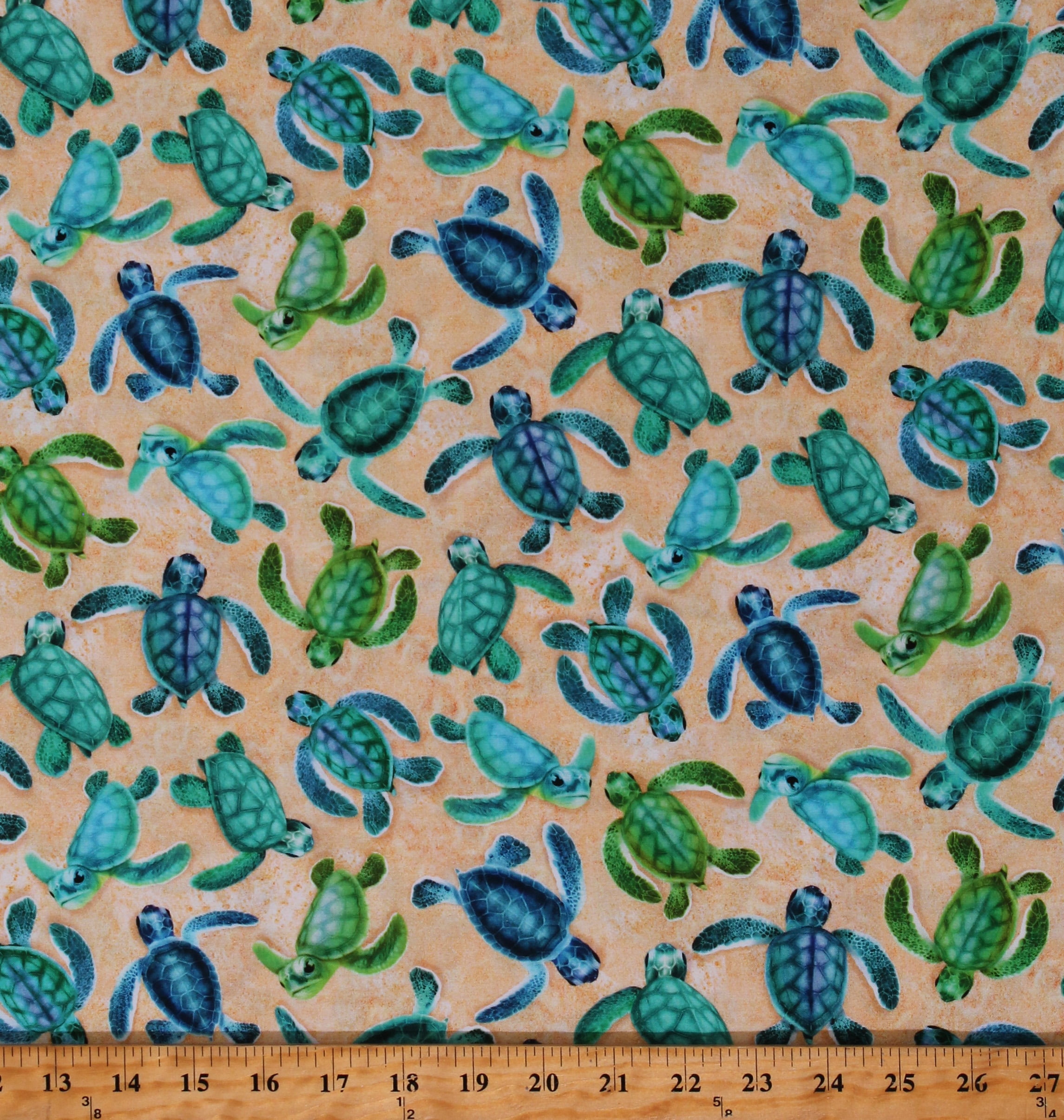 Cotton Sea Turtles Animals Creatures Sand Beach Ocean Aquatic Blue ...