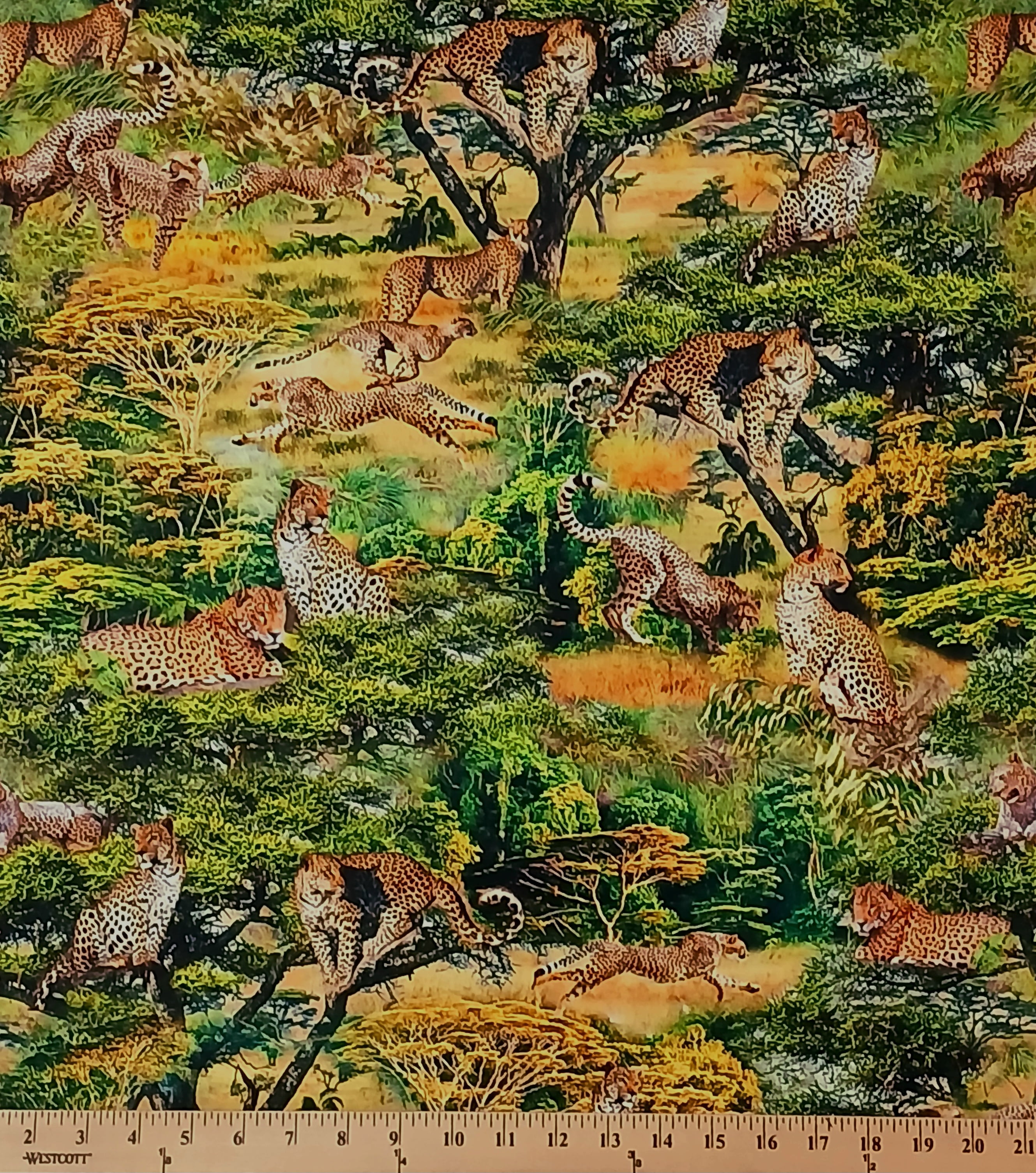 Cotton Serengeti Plains A Leap and A Streak Cheetahs Jaguars Leopards ...