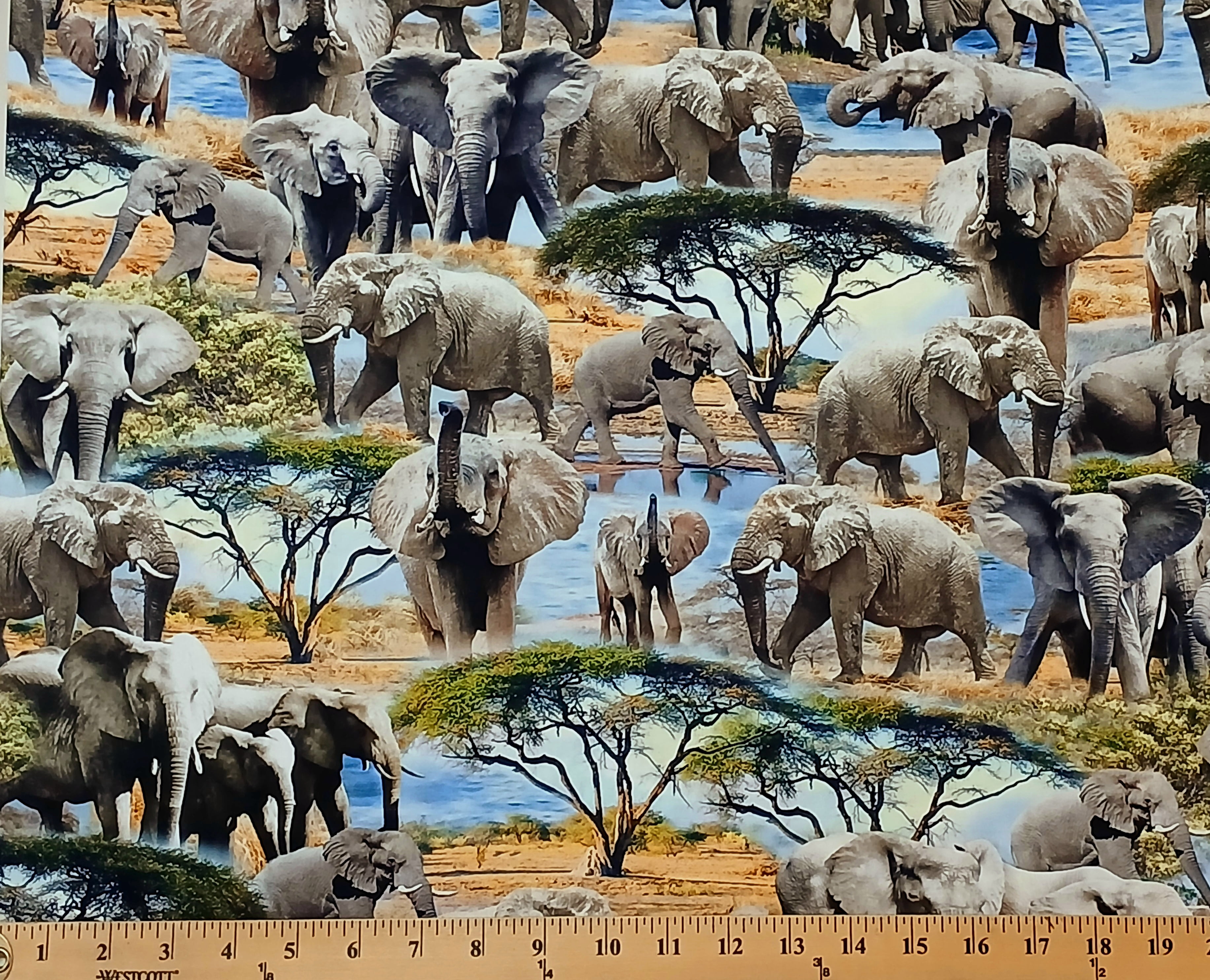 Cotton Serengeti Plains Trunk Show African Elephants Safari Animals ...